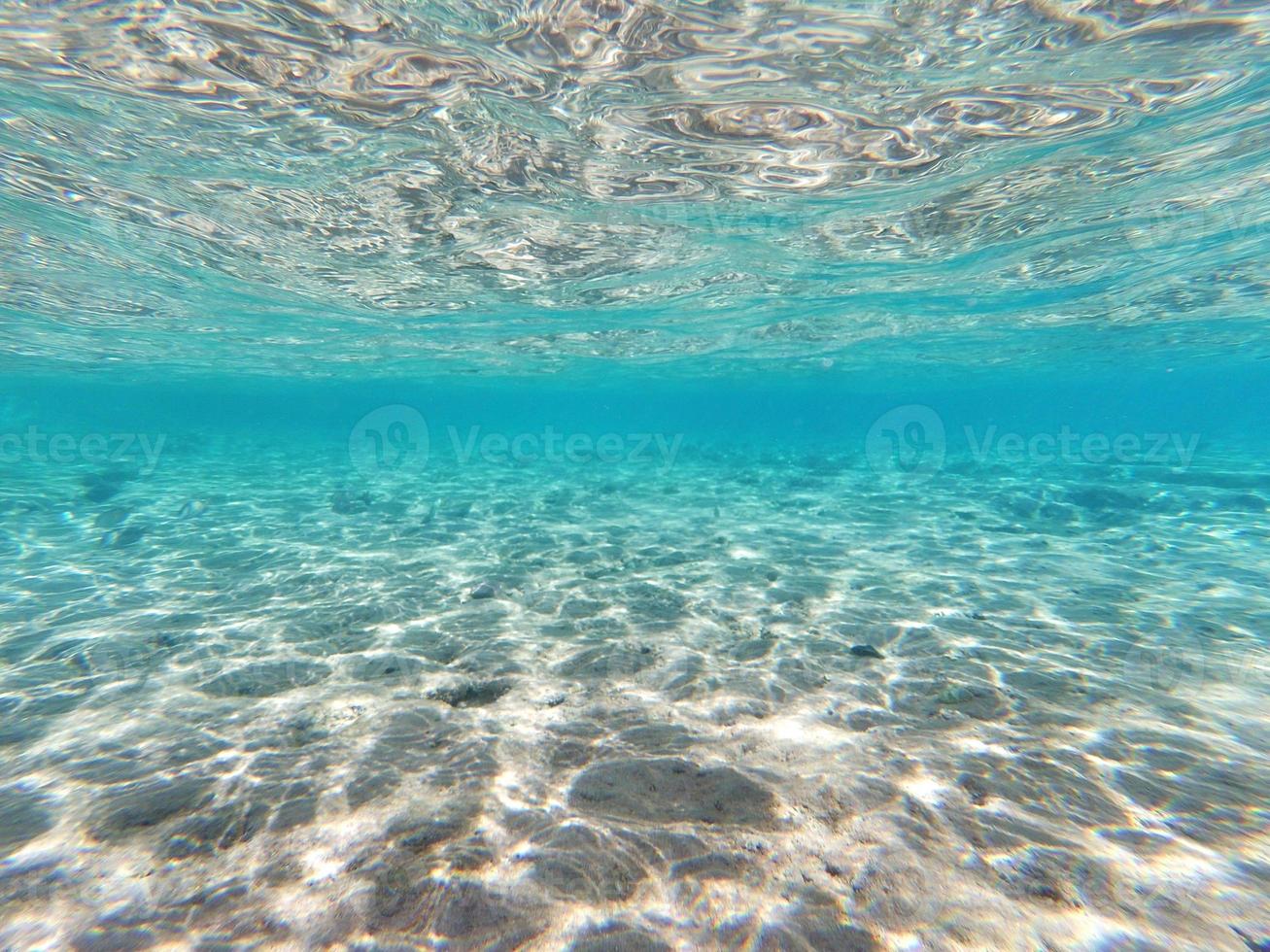 Underwater scene with copy space 21136997 Stock Photo at Vecteezy