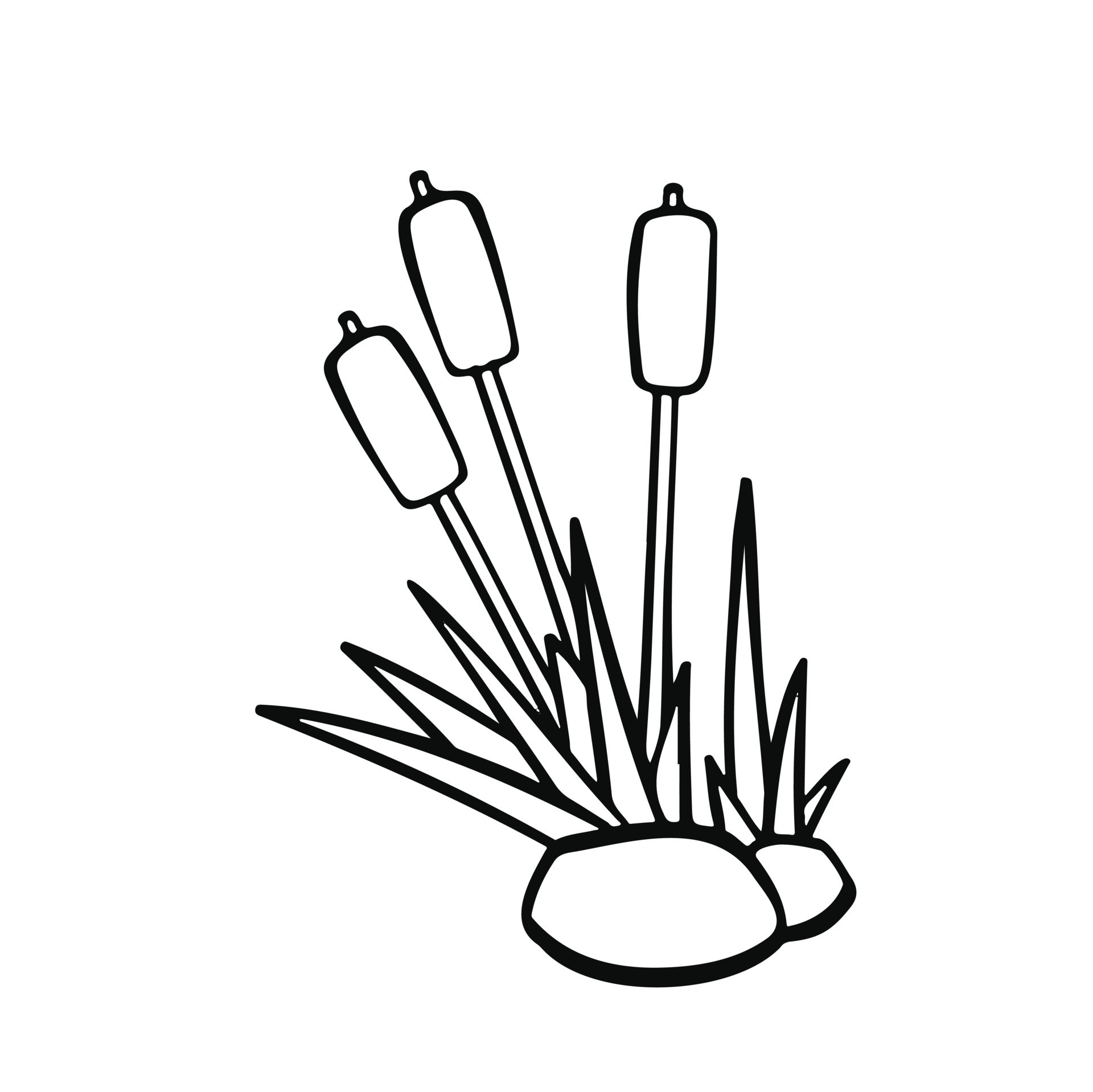 Cartoon Texture Grass Vector Art Icons And Graphics For Free Download
