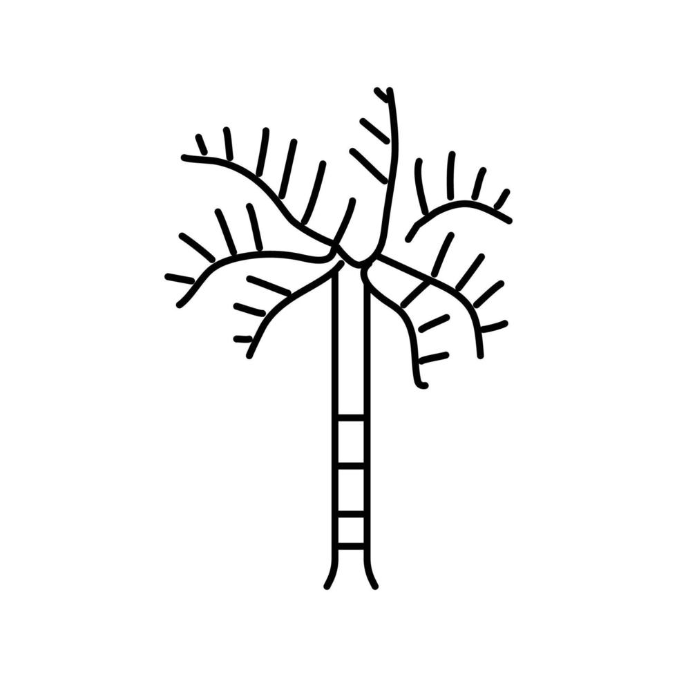 foxtail palm tree line icon vector illustration 21163675 Vector Art at ... foxtail palm tree line icon vector illustration 21163675 Vector Art at ...