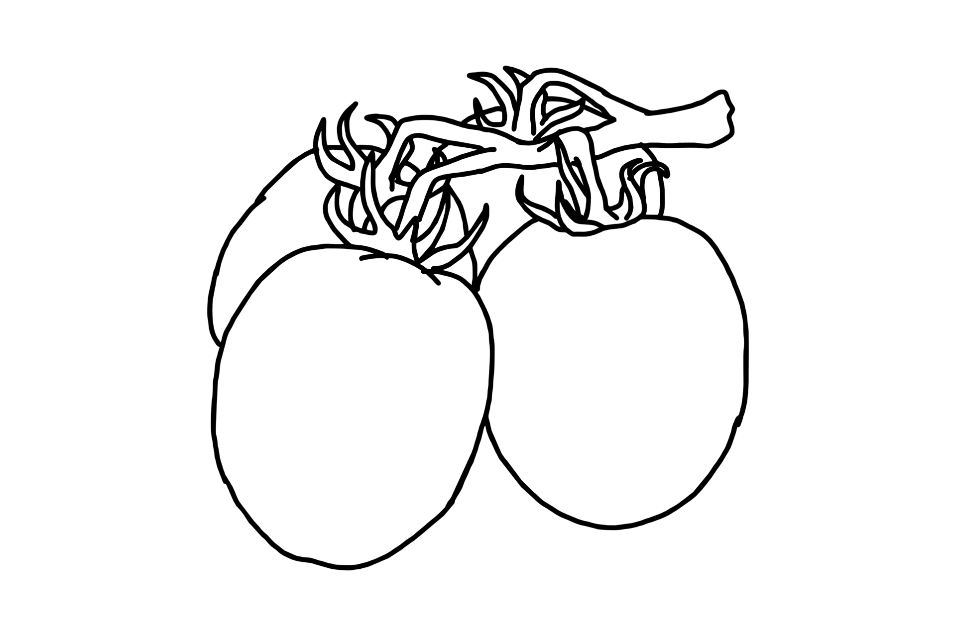 Four Fresh Tomatoes 21170137 Png