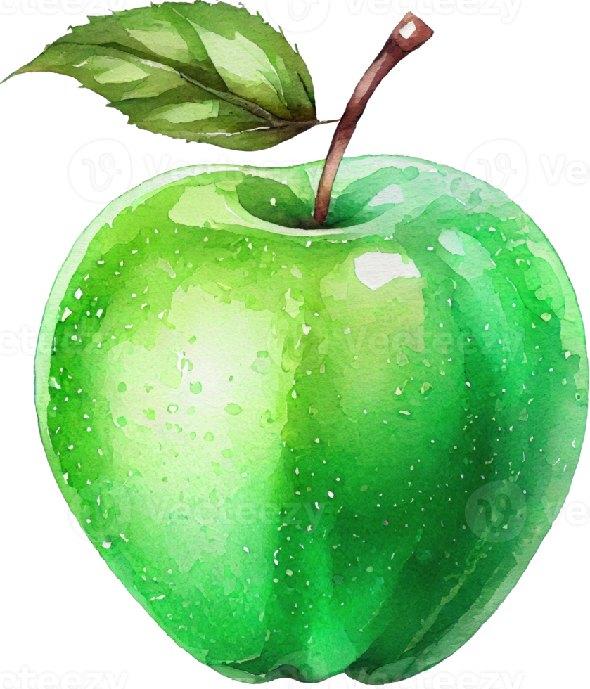 Green Apple Watercolor Illustration 21183293 PNG