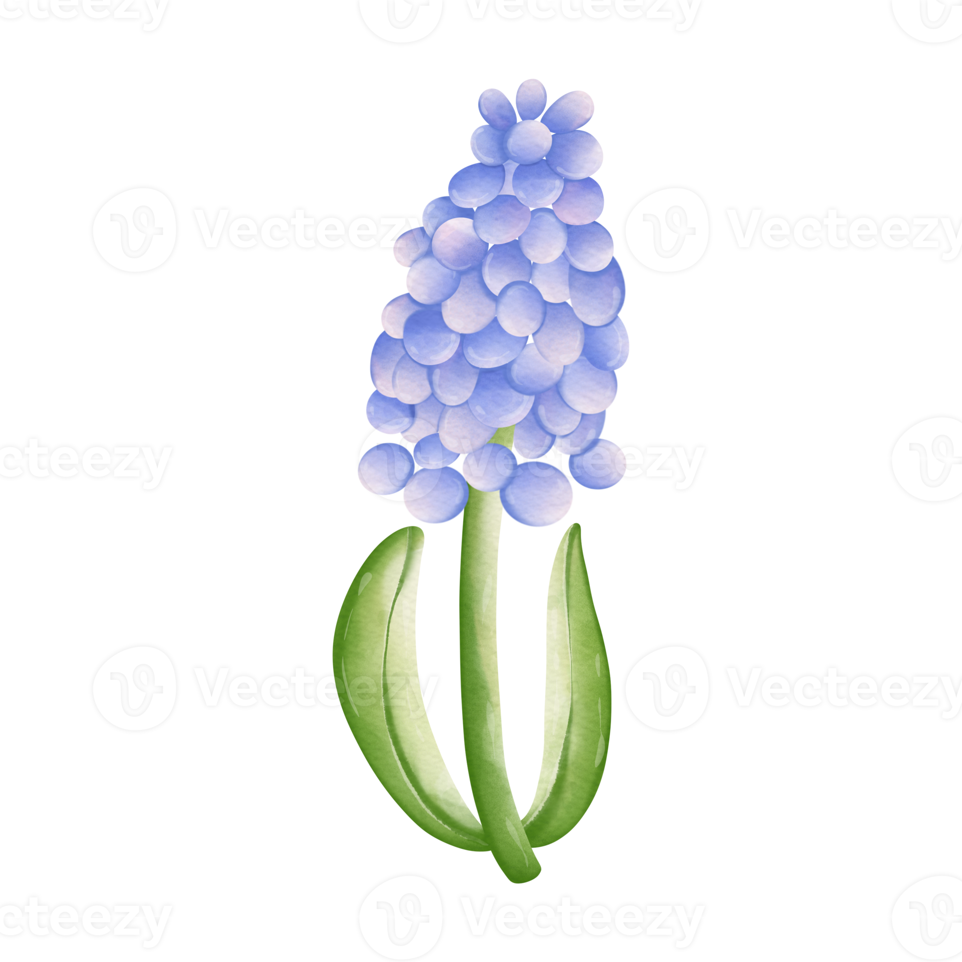 Watercolor Flower Hand Drawn Illustration Spring Season 21193151 Png