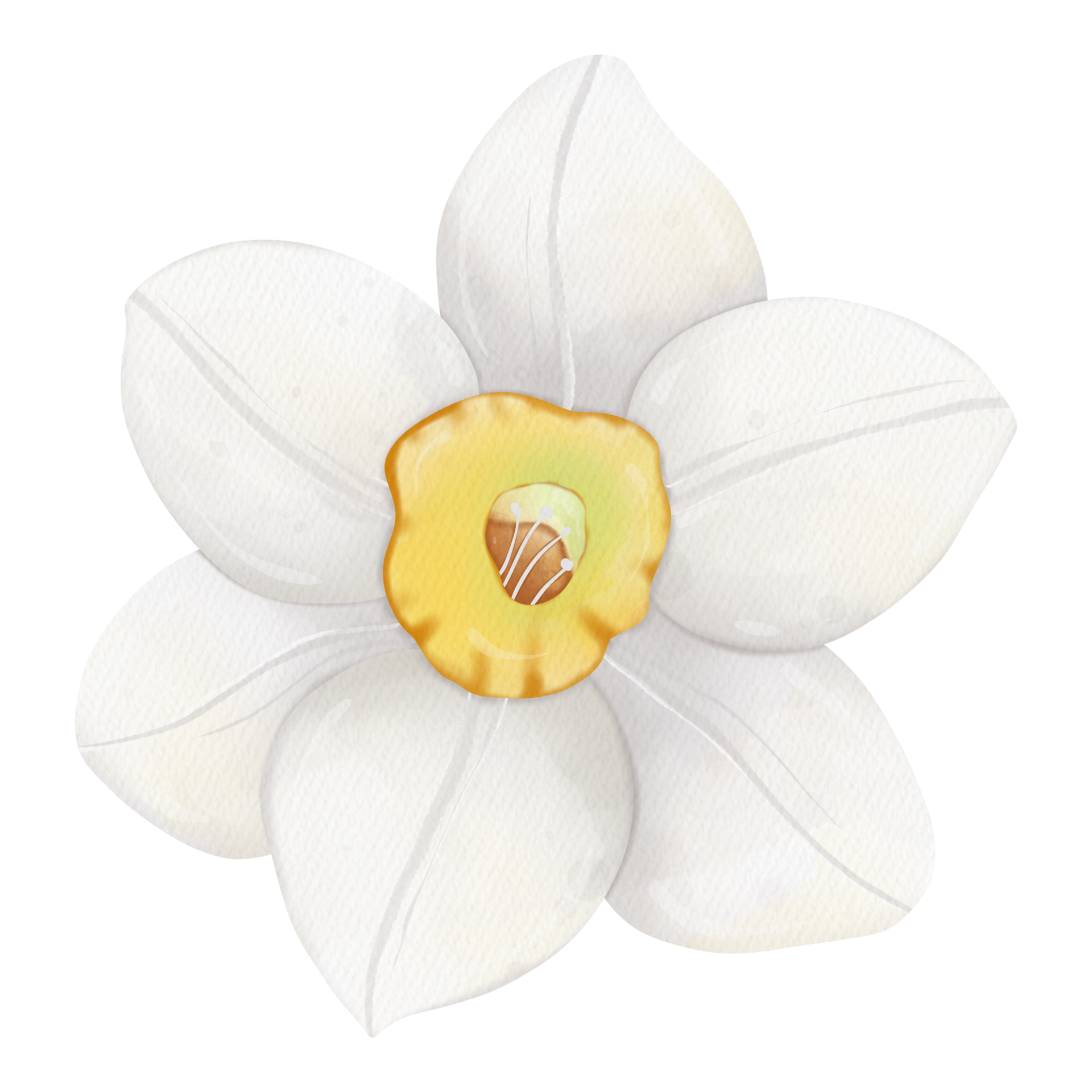 Watercolor Flower Hand Drawn Illustration Spring Season 21193164 Png