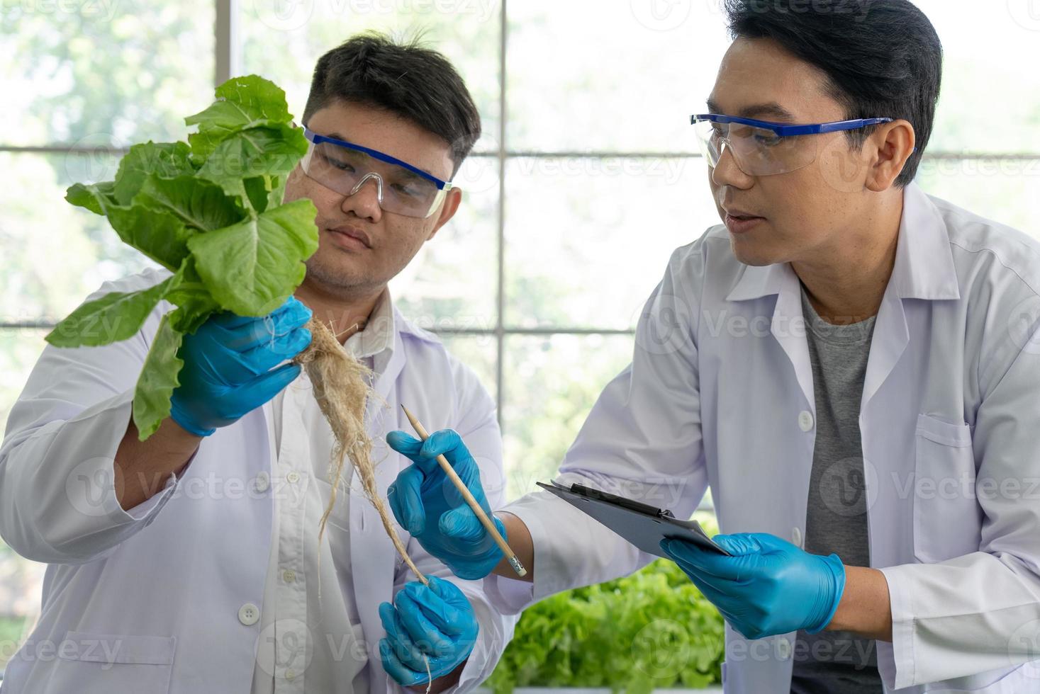 Scientist Team Doing Experiment In Agriculture Lab To Develope Genetic