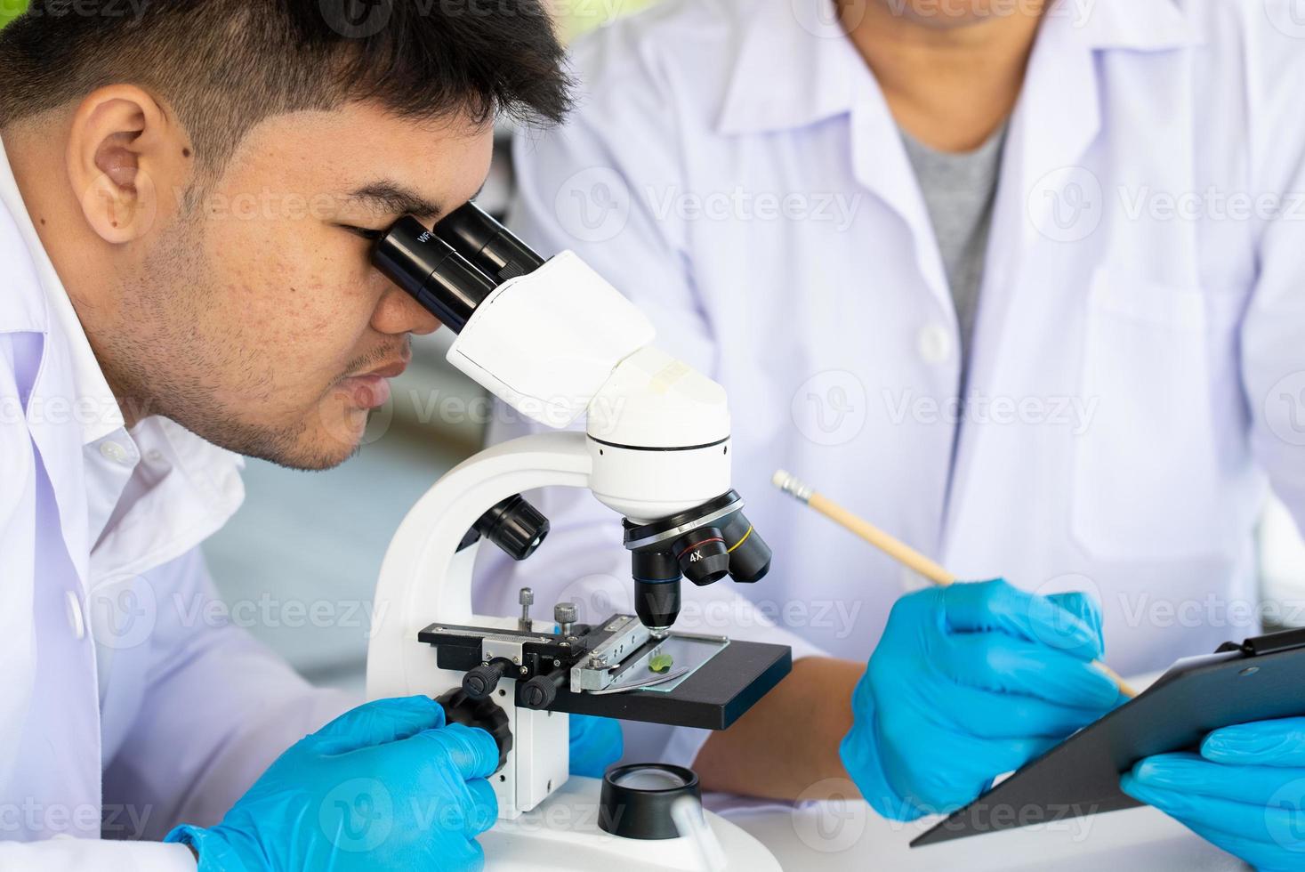 Scientist Team Doing Experiment In Agriculture Lab To Develope Genetic