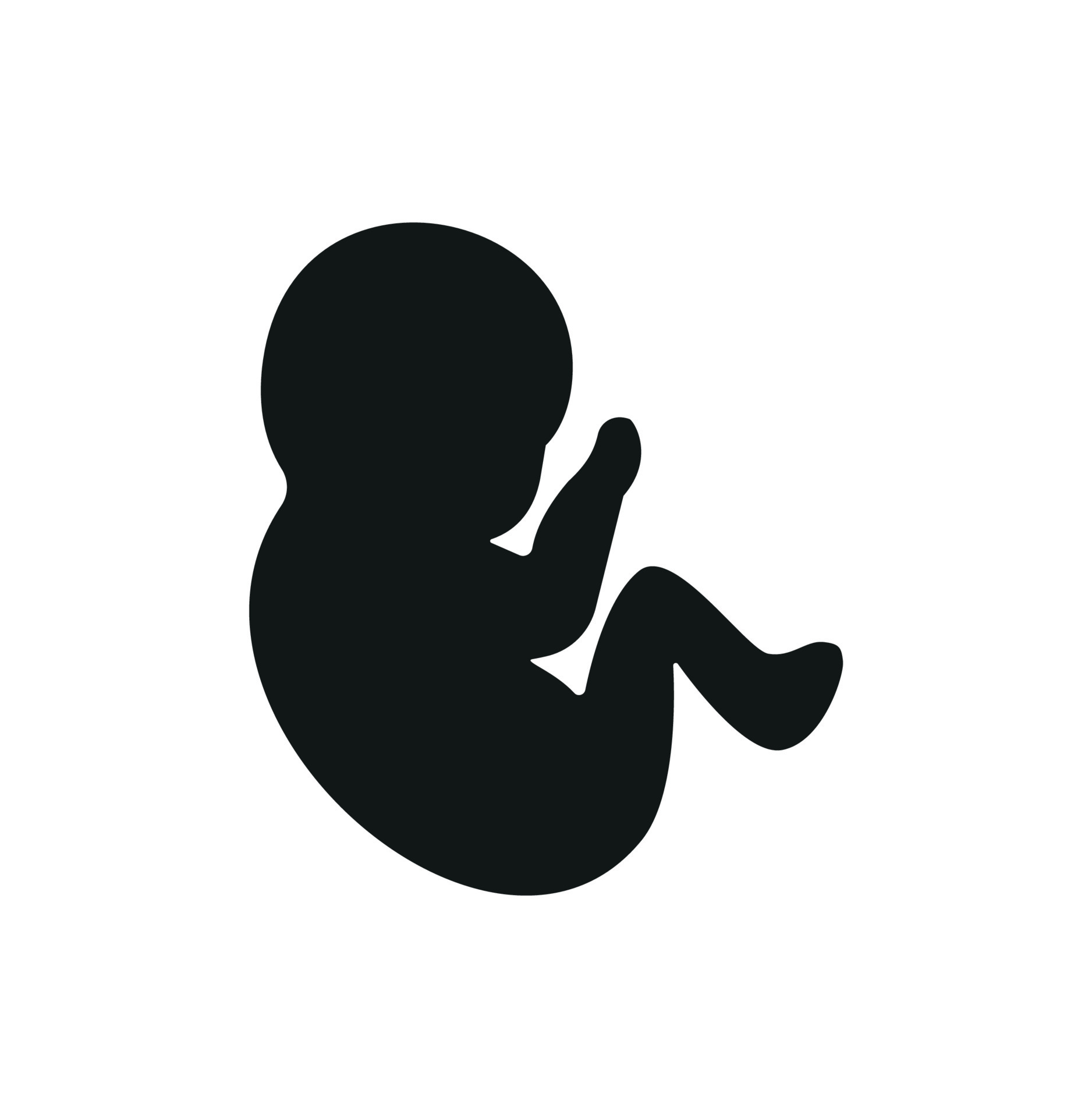 Fetus Icon Isolated on White Background 21213238 Vector Art at Vecteezy