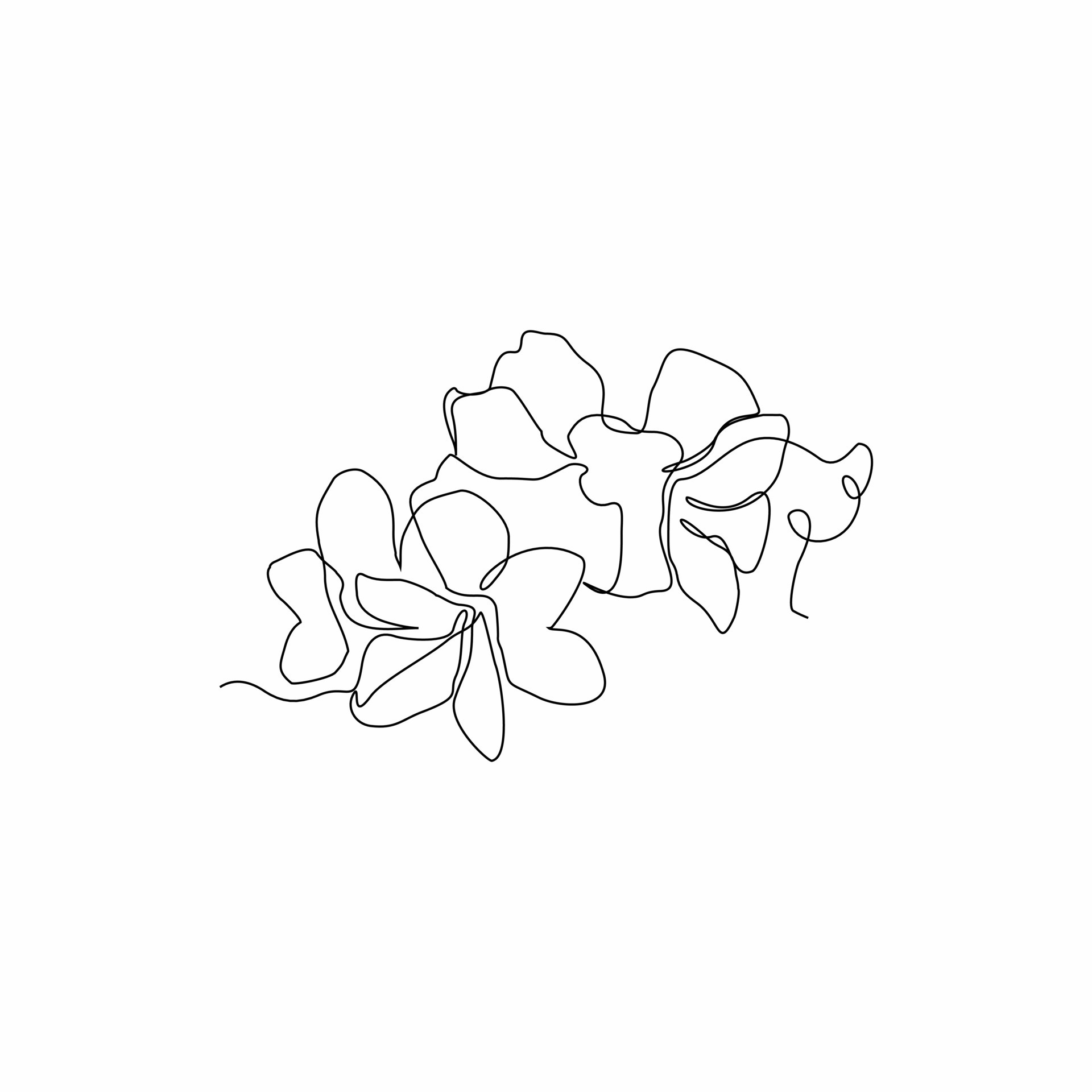 flower vector continuous line art 21231824 Vector Art at Vecteezy flower vector continuous line art 21231824 Vector Art at Vecteezy
