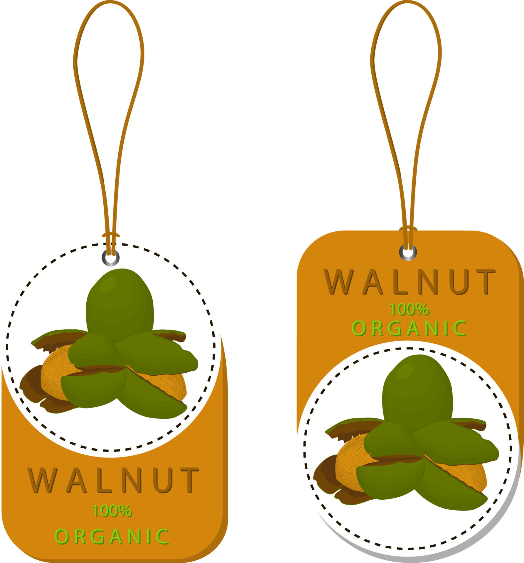 big set different types walnut in nutshell 21253278 PNG big set different types walnut in nutshell 21253278 PNG
