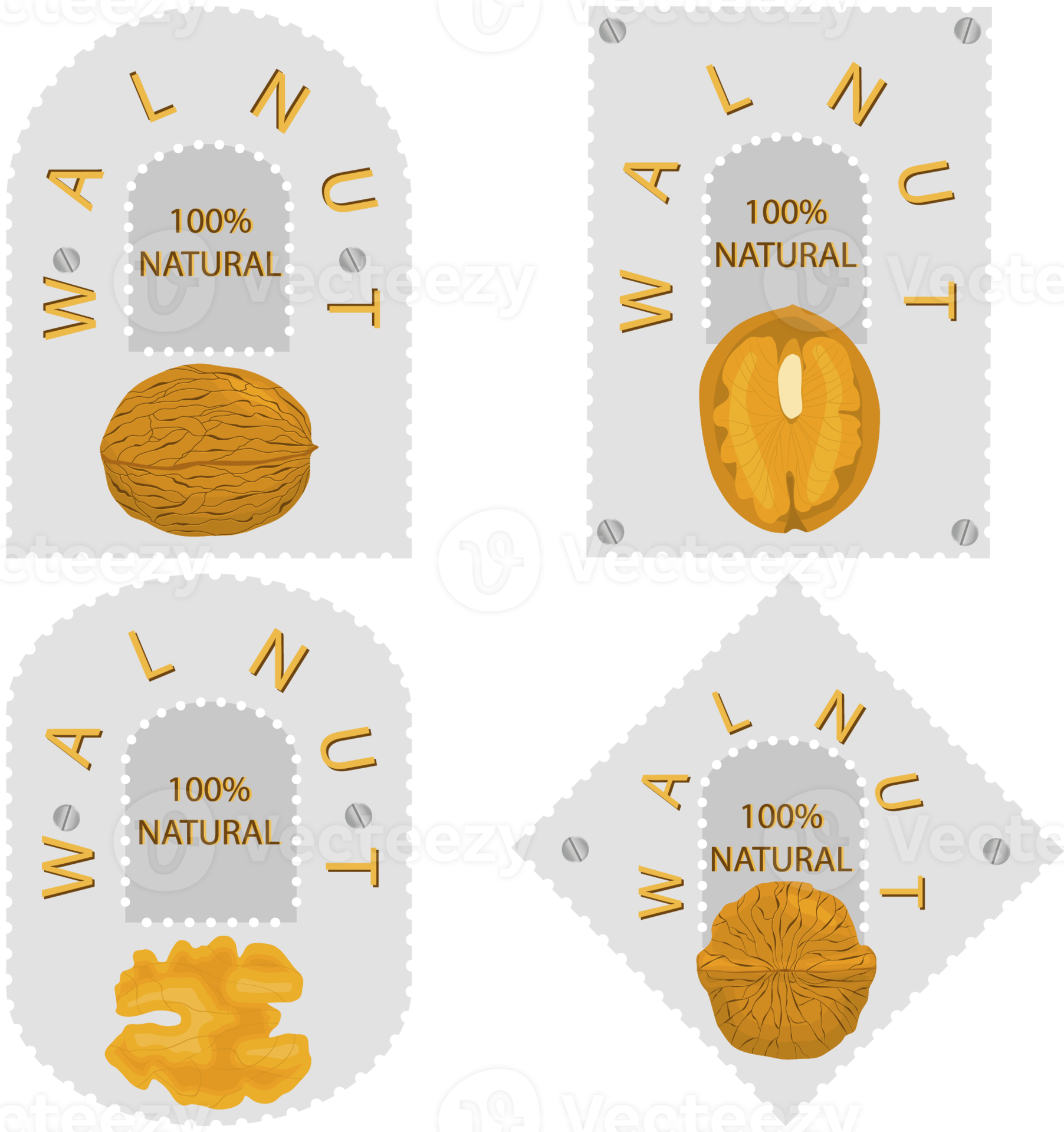 big set different types walnut in nutshell 21253385 PNG