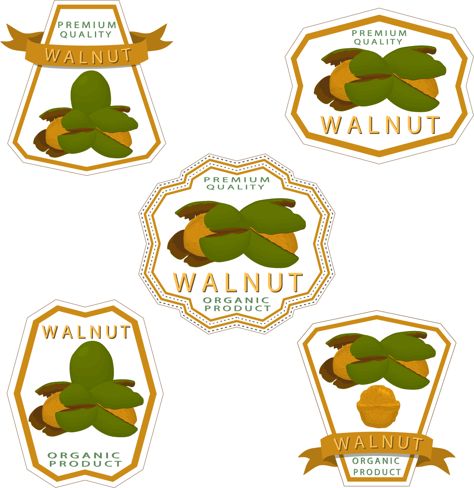 big set different types walnut in nutshell 21253904 PNG big set different types walnut in nutshell 21253904 PNG