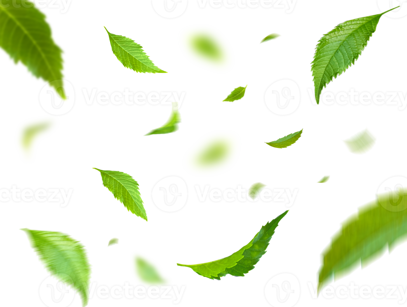 Floating Tree Leaf Leaf Leaves Floating Leaves Png Tr - vrogue.co Floating Tree Leaf Leaf Leaves Floating Leaves Png Tr - vrogue.co