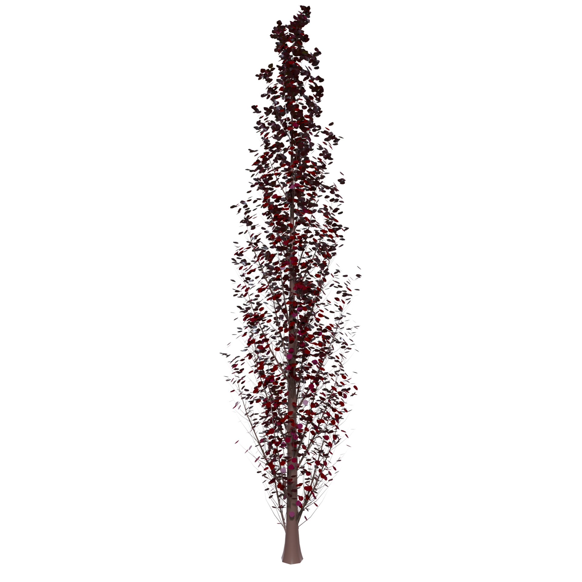 Tree isolated on transparent 21282370 PNG Tree isolated on transparent 21282370 PNG