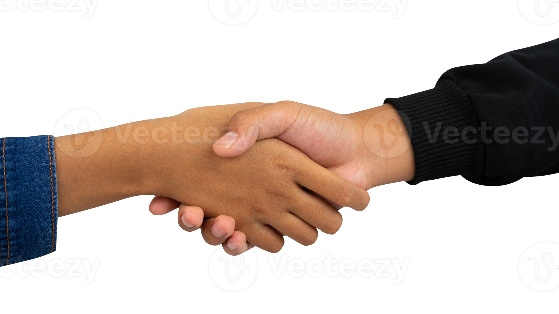 Man and woman shake hands isolated 21285415 PNG