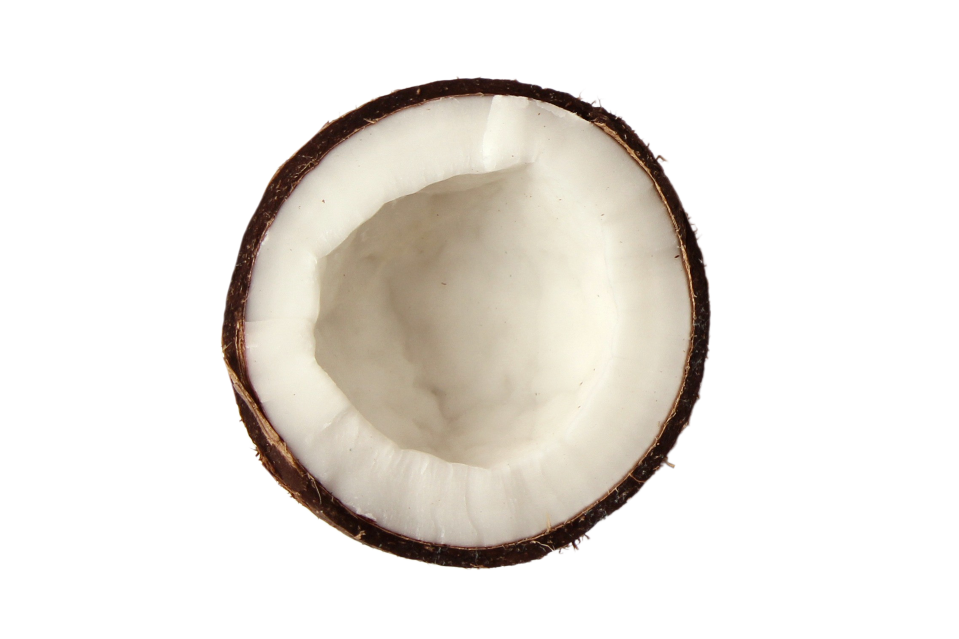 Half coconut isolated on a transparent background 21346785 PNG Half coconut isolated on a transparent background 21346785 PNG