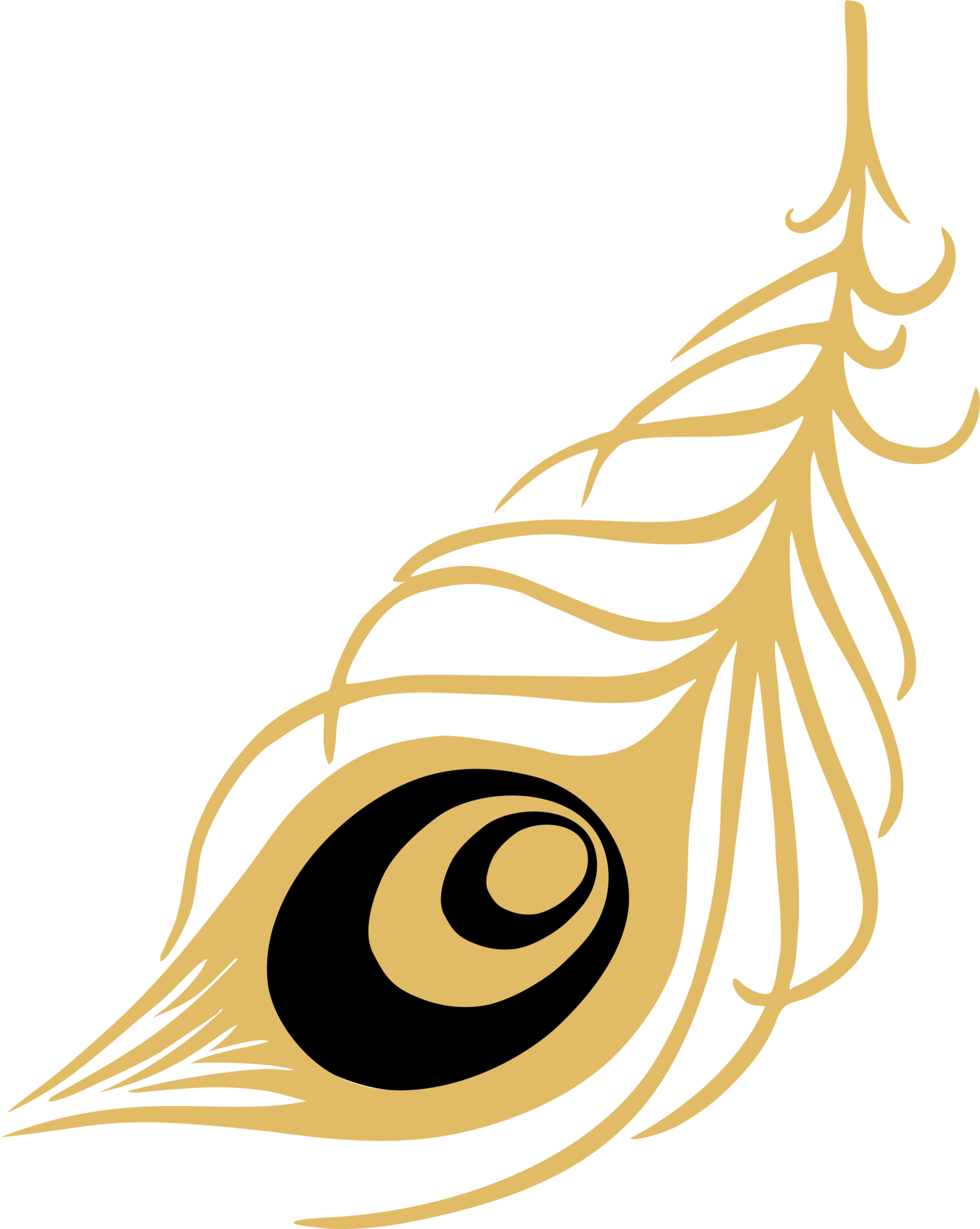 Primitive Pattern Peacock Feather Black With Gold No Background Isolated Element 21357221 Png