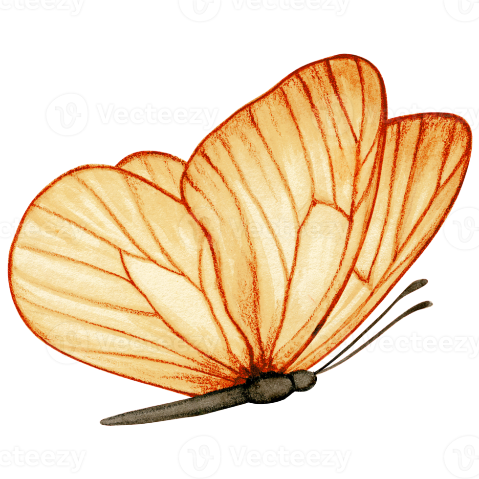 Watercolor Hand Drawn Butterfly 21361123 Png