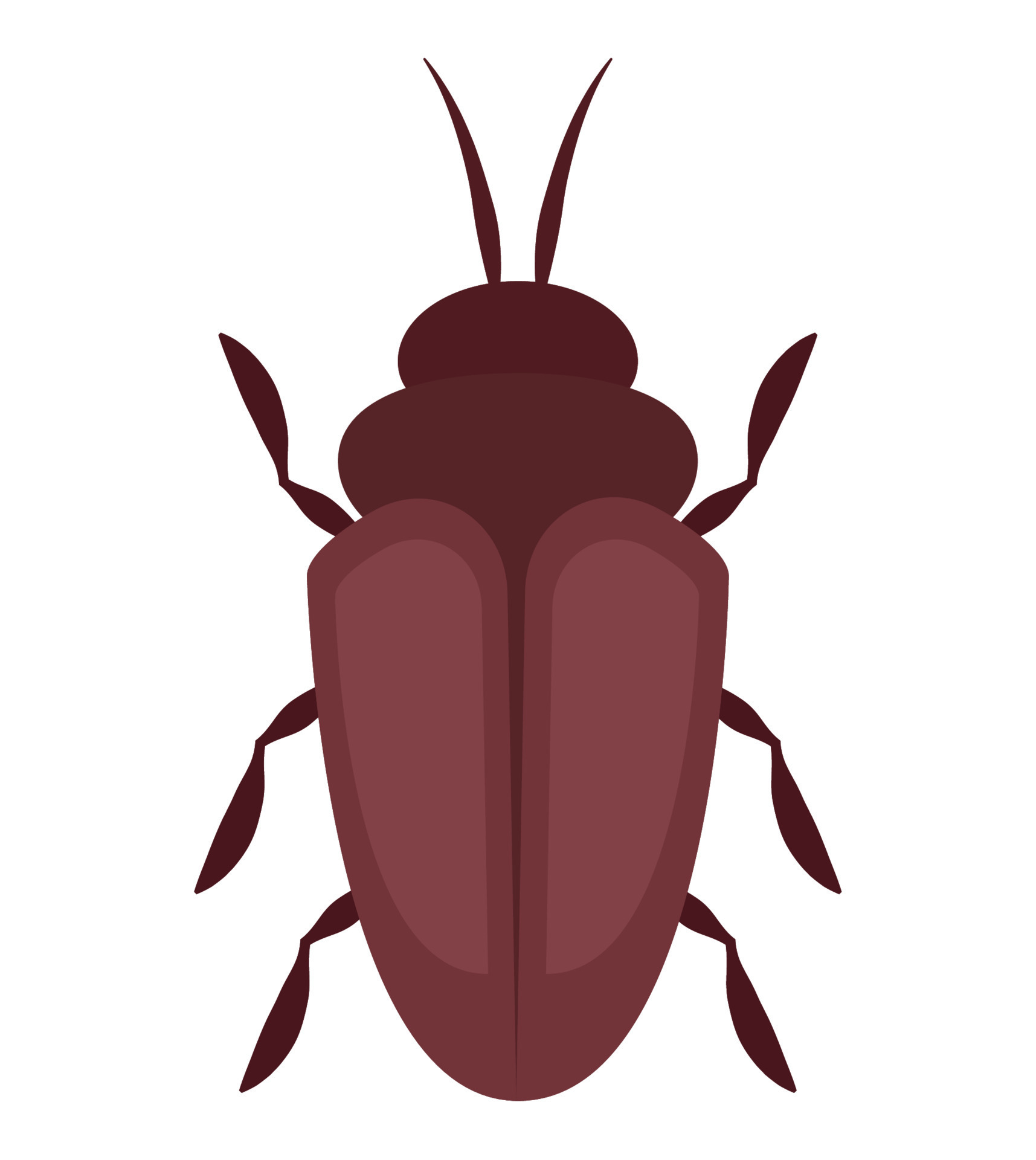 Colored Cockroach Design 21380501 Vector Art At Vecteezy