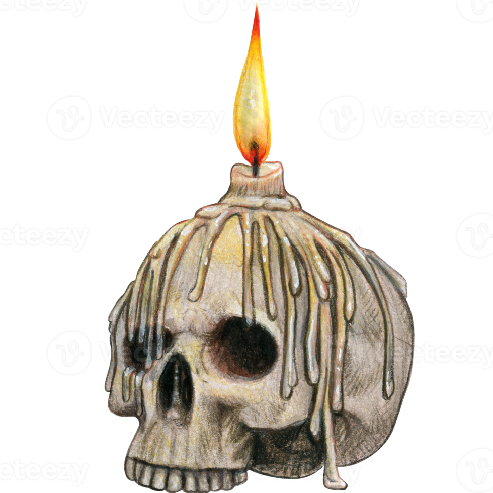 Watercolor Hand Drawn Realistic Human Skull 21380546 Png