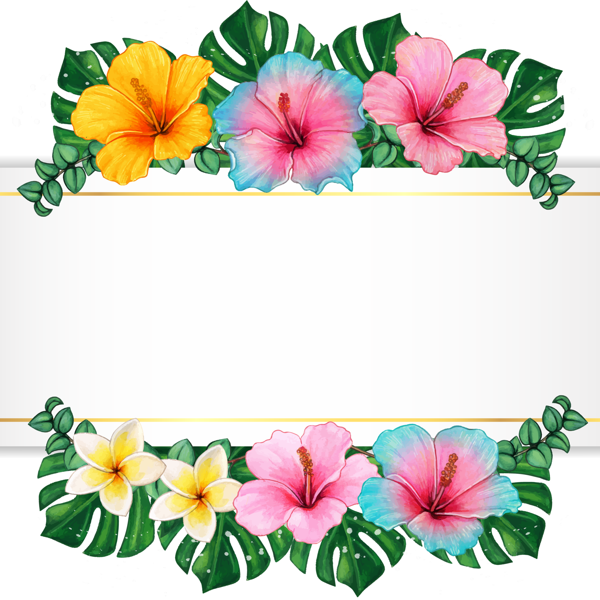 Tropical Png Tropical Frame Png Tropical Summer Frame - vrogue.co Tropical Png Tropical Frame Png Tropical Summer Frame - vrogue.co
