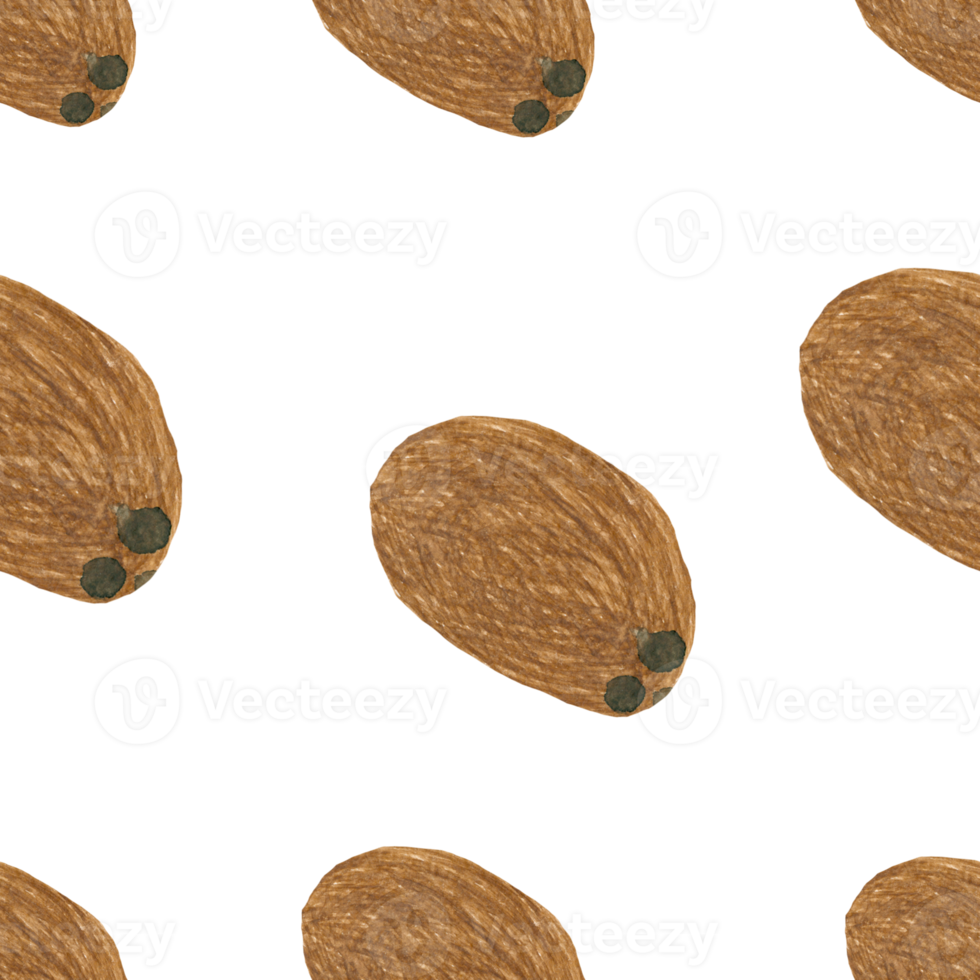Free set of coconuts isolated png 21391179 PNG with Transparent Background Free set of coconuts isolated png 21391179 PNG with Transparent Background