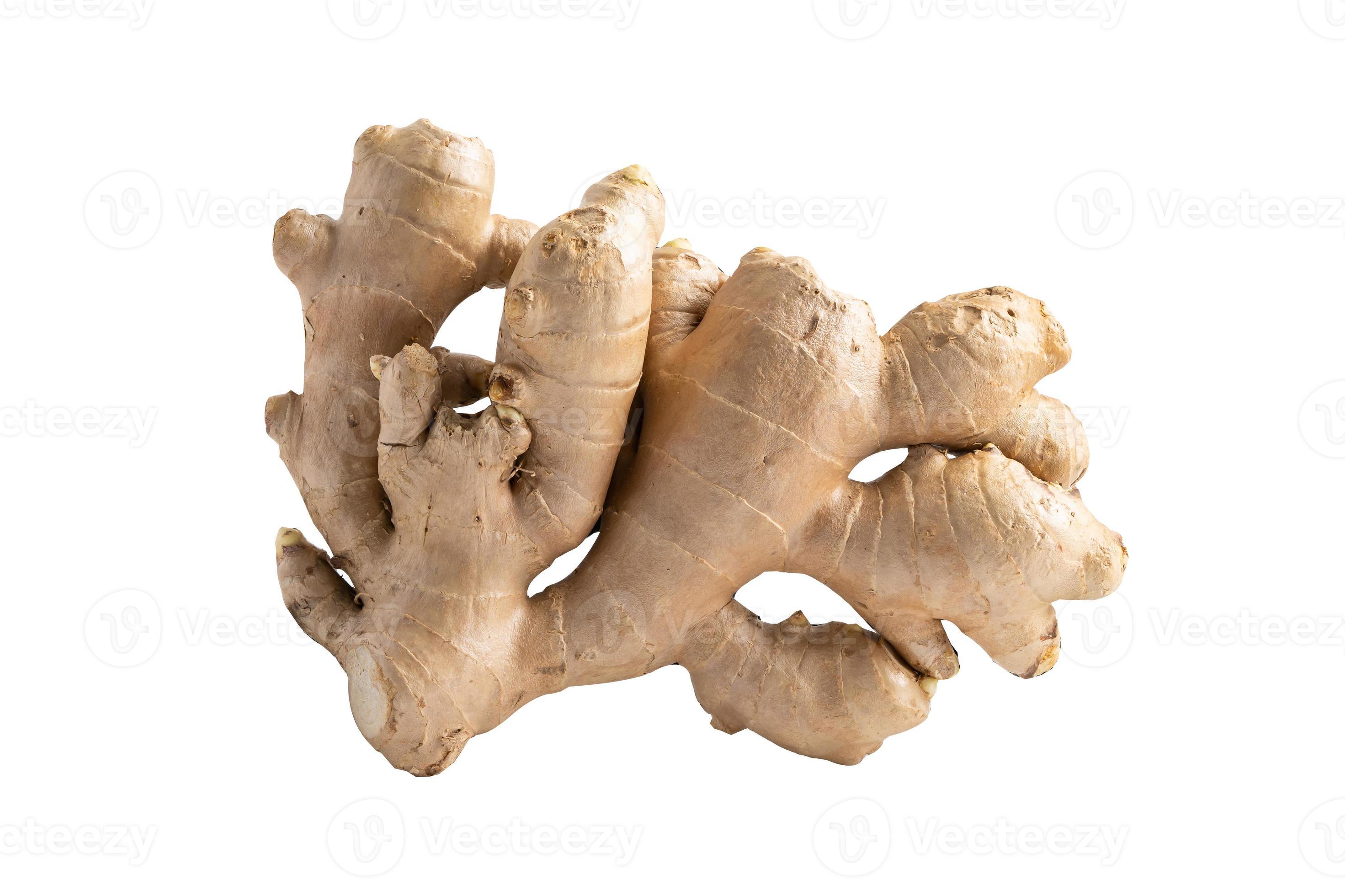 Ginger rhizome isolated on white background, herb vegetable food in ...