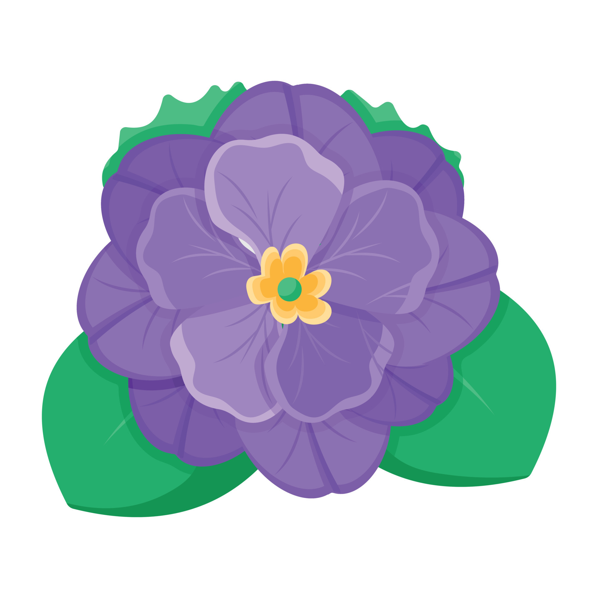 Trendy African Violet 21395531 Vector Art at Vecteezy