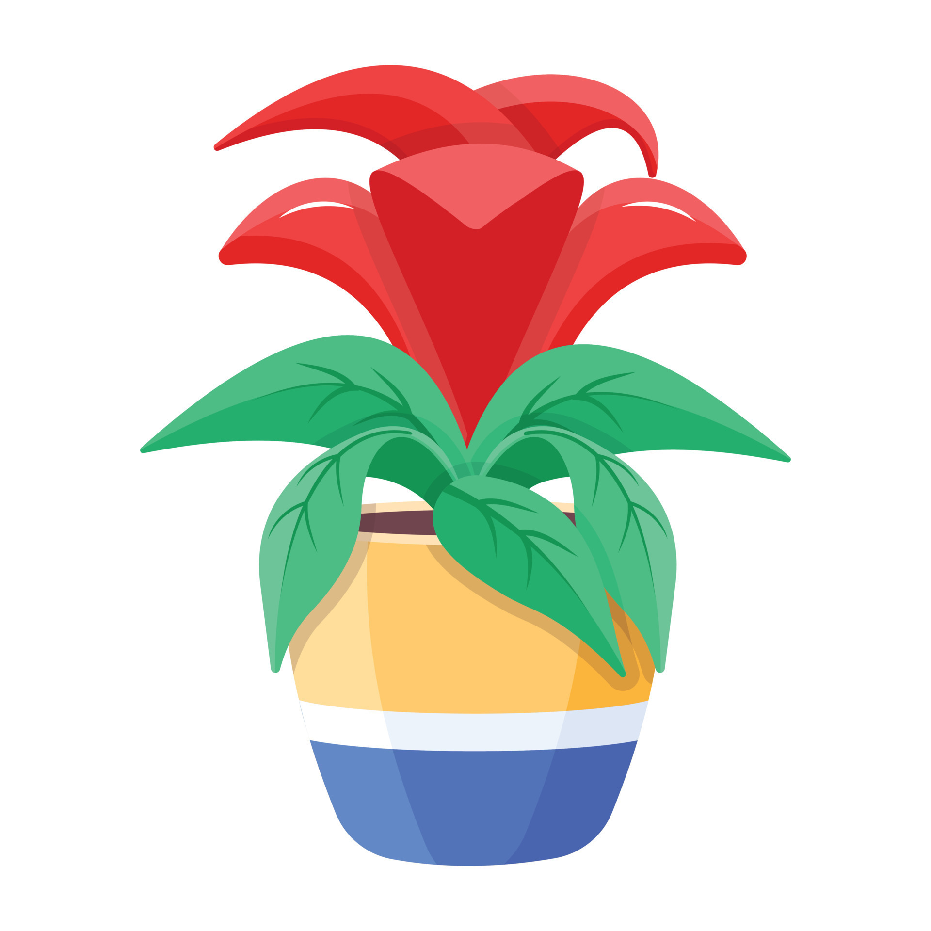 Trendy Bromeliad Plant 21395545 Vector Art At Vecteezy