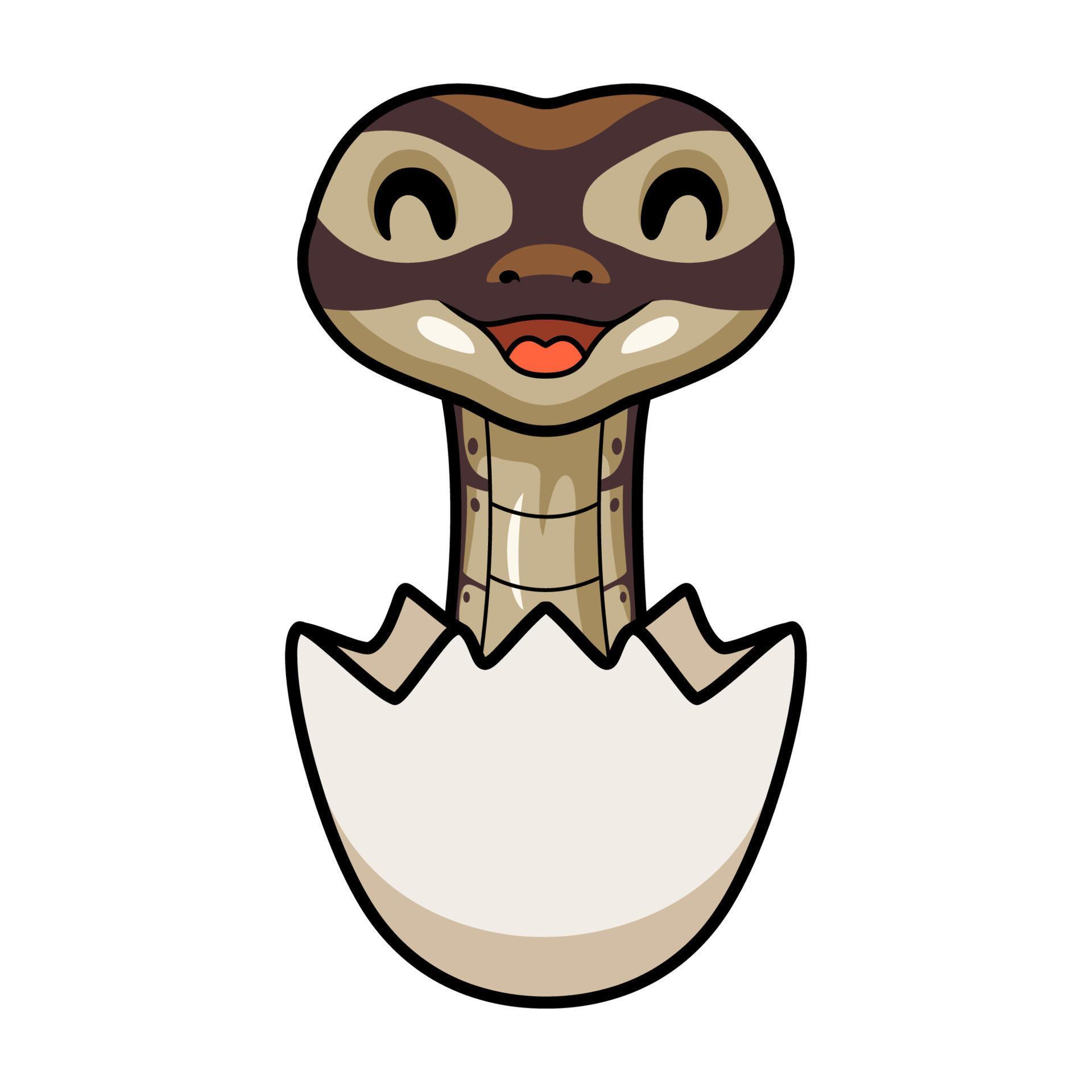 Cute black head butter ball python cartoon inside an egg 21429070 ...