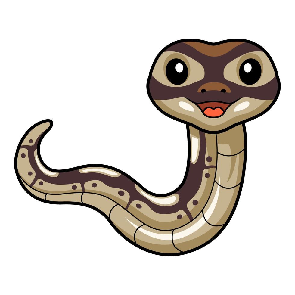 Cute black head butter ball python cartoon 21429072 Vector Art at Vecteezy