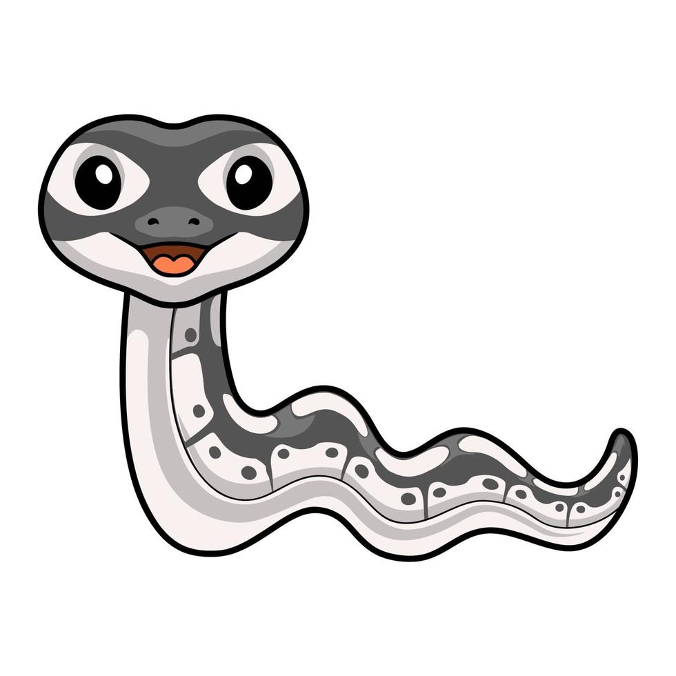 Cute axanthic ball python cartoon 21429081 Vector Art at Vecteezy