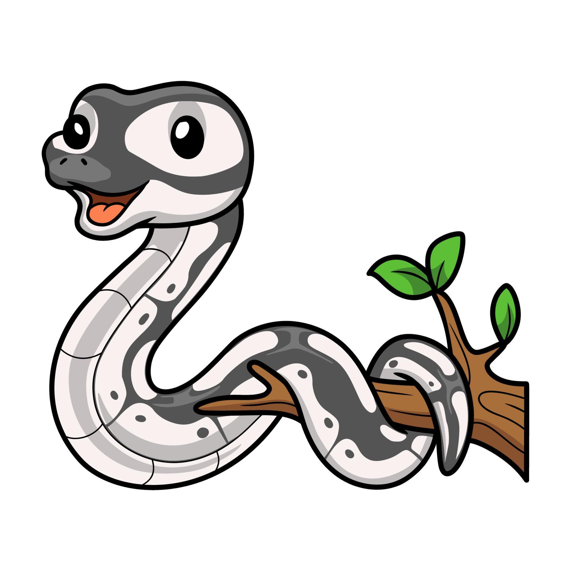 Cute axanthic ball python cartoon on tree branch 21429085 Vector Art at ...