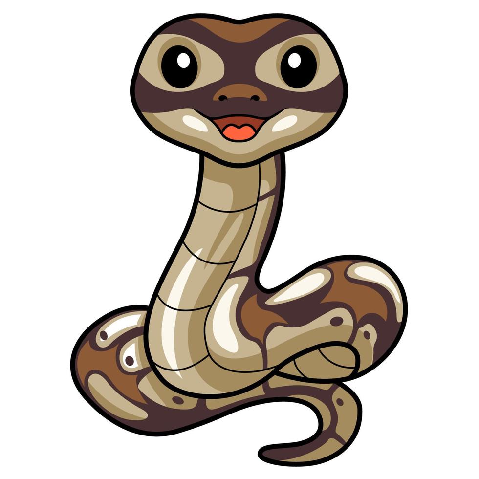 Cute black head butter ball python cartoon 21429151 Vector Art at Vecteezy