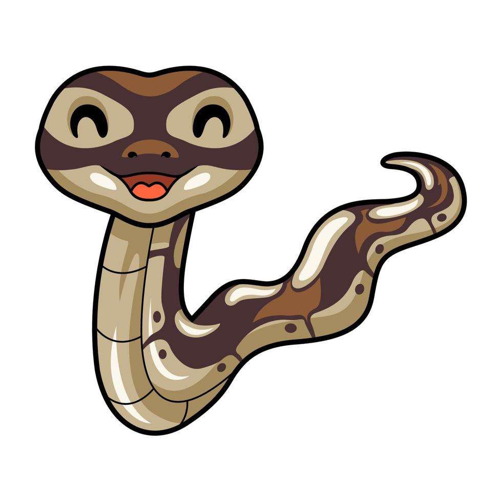 Cute black head butter ball python cartoon 21429163 Vector Art at Vecteezy