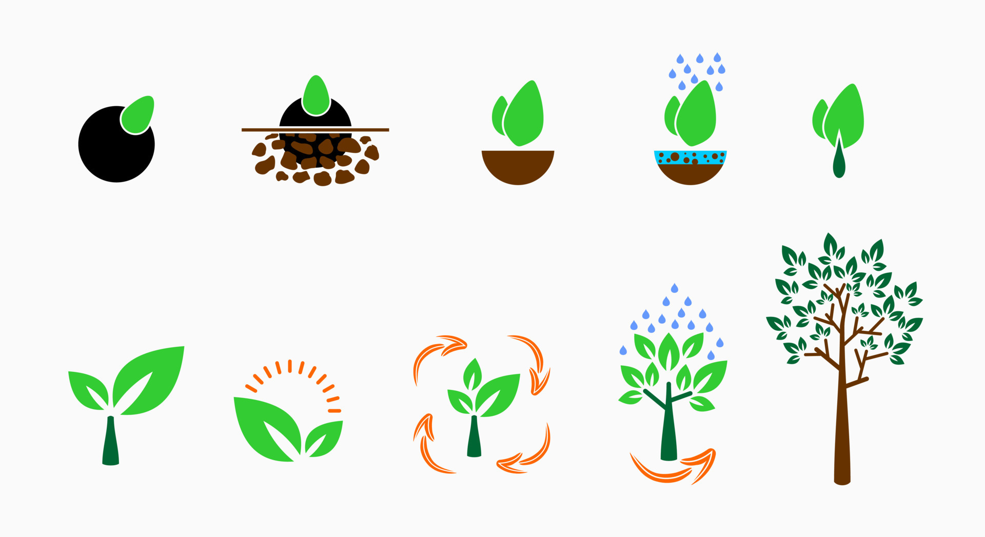 Seed evolution into big tree, plant icon, concept icon. plant growth ... Seed evolution into big tree, plant icon, concept icon. plant growth ...