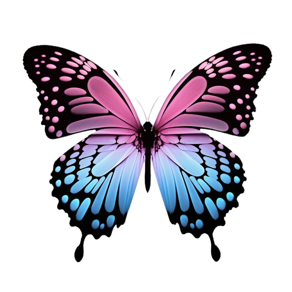 monarch butterfly blue pink 21453777 PNG monarch butterfly blue pink 21453777 PNG