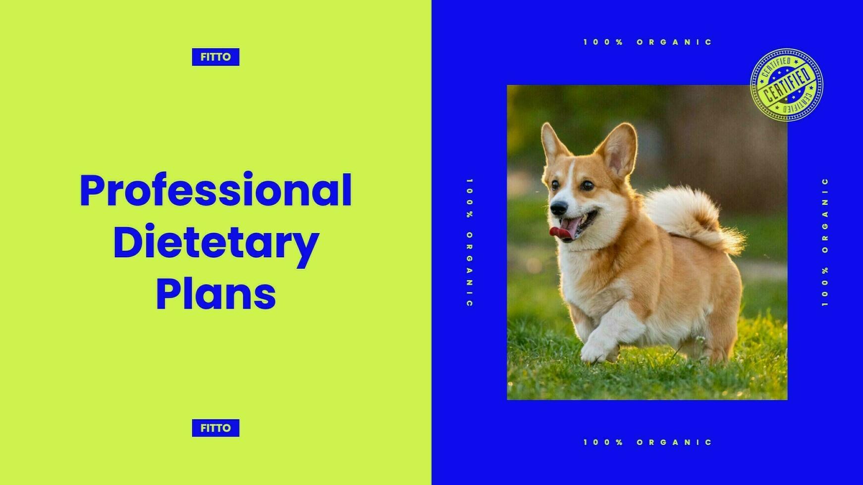 Pet Template Templates to Edit & Download Free