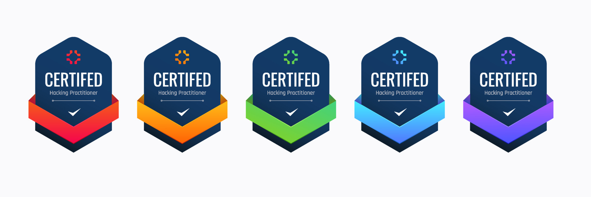 Certified Badge Design for Hacking Practitioner. Professional Computer ...
