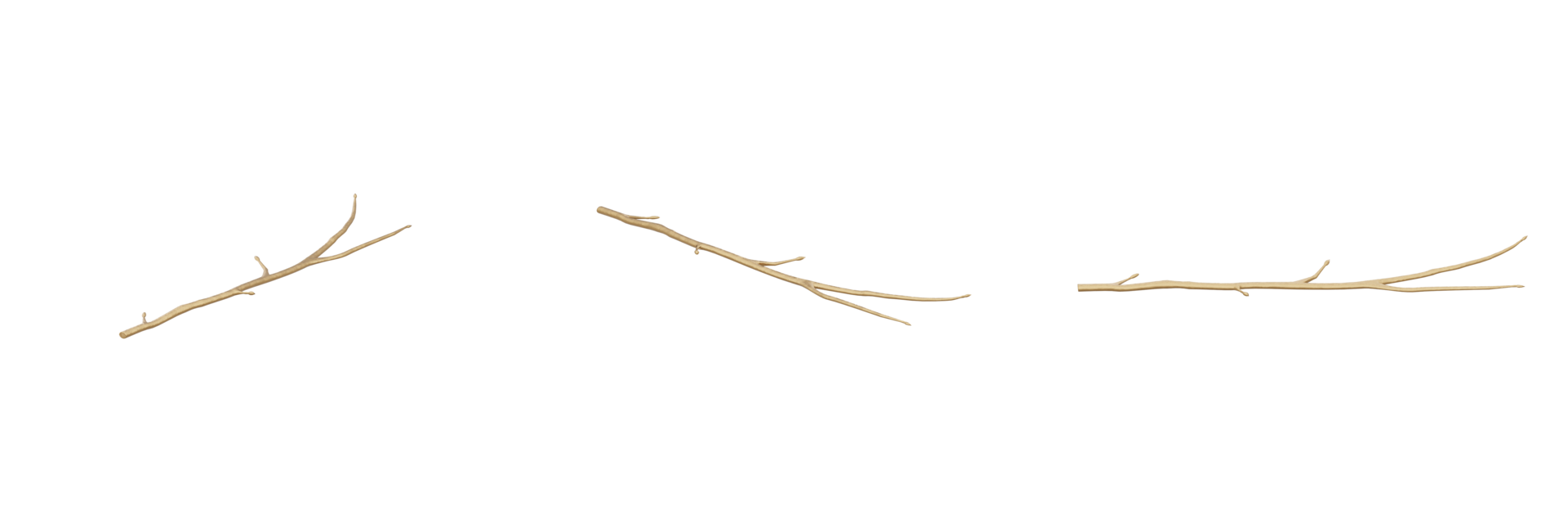 This stunning and realistic 3D render of a golden twig, wood, or stump will add a touch of ...