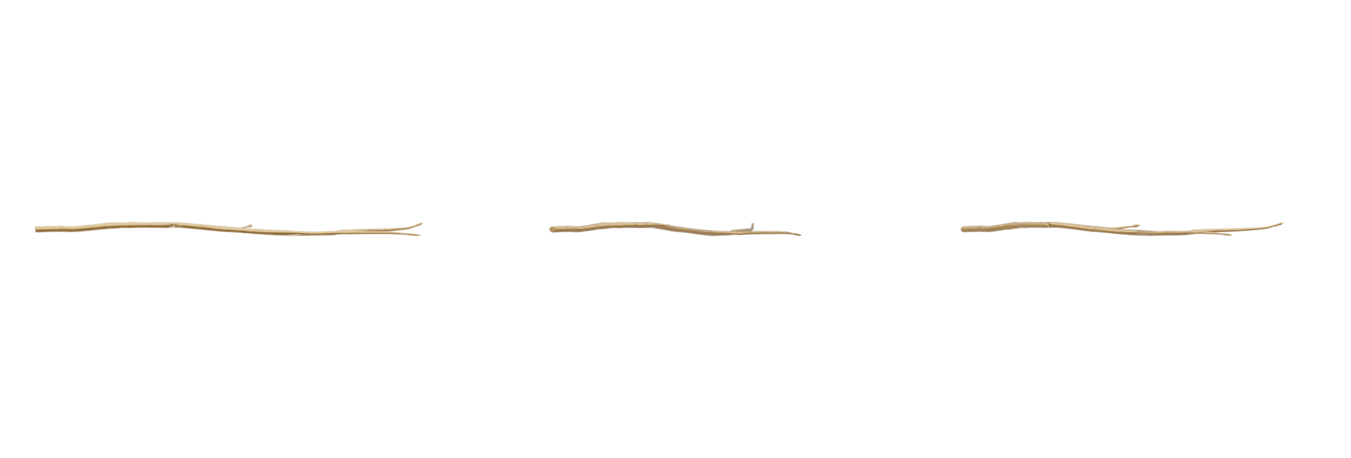 This stunning and realistic 3D render of a golden twig, wood, or stump will add a touch of ...