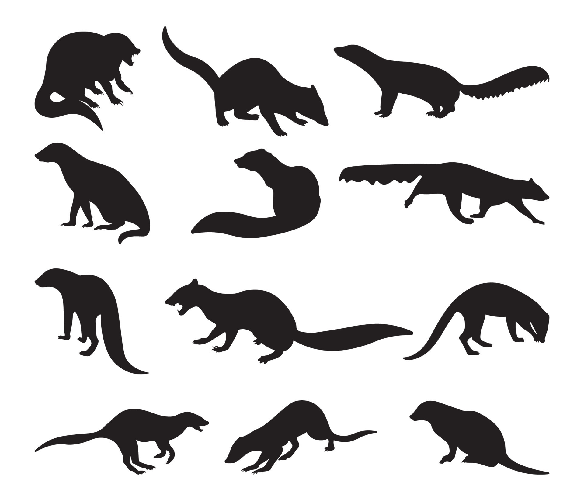 Mongoose silhouette vector illustration set. 21517268 Vector Art at ... Mongoose silhouette vector illustration set. 21517268 Vector Art at ...