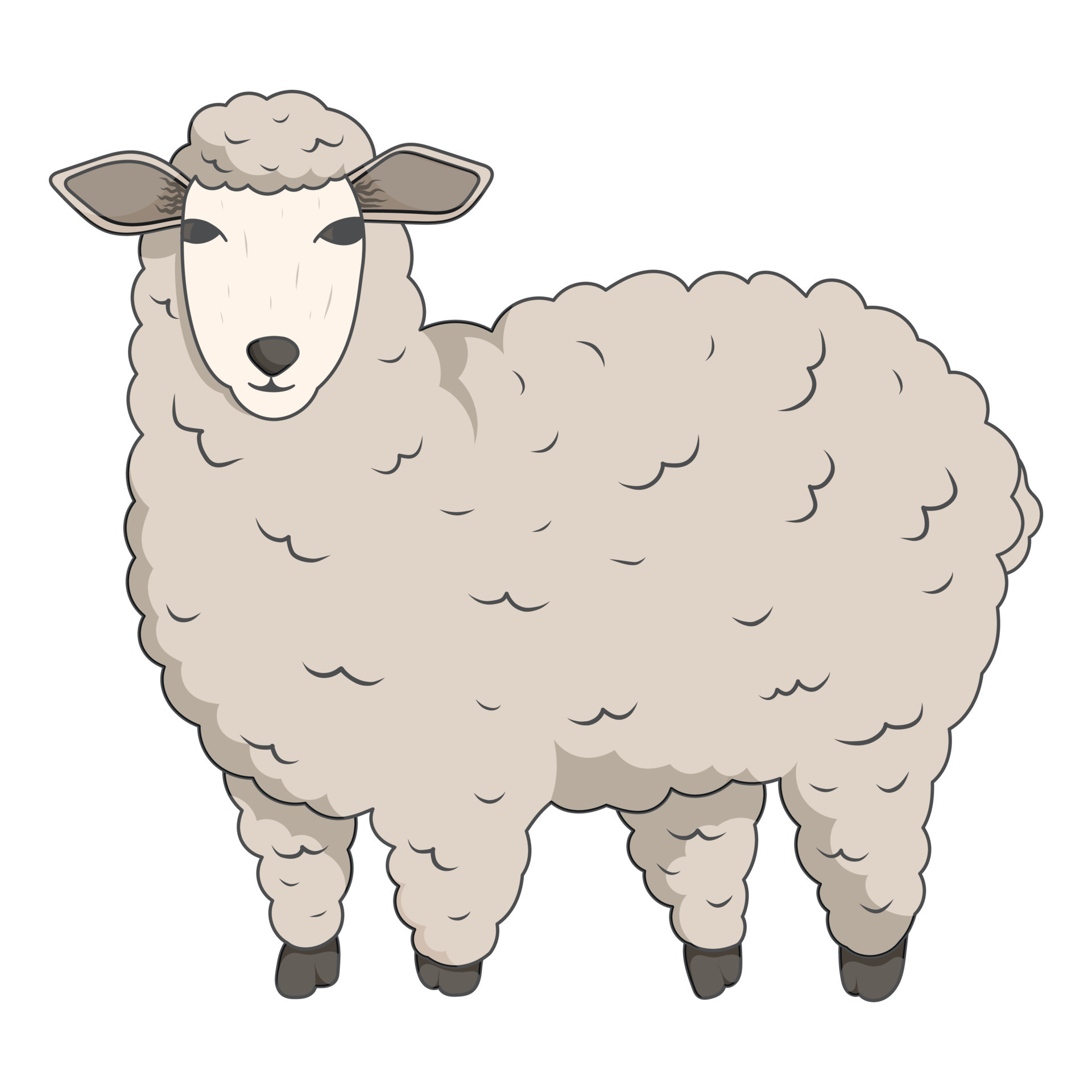 Sheep Wool Clip Art