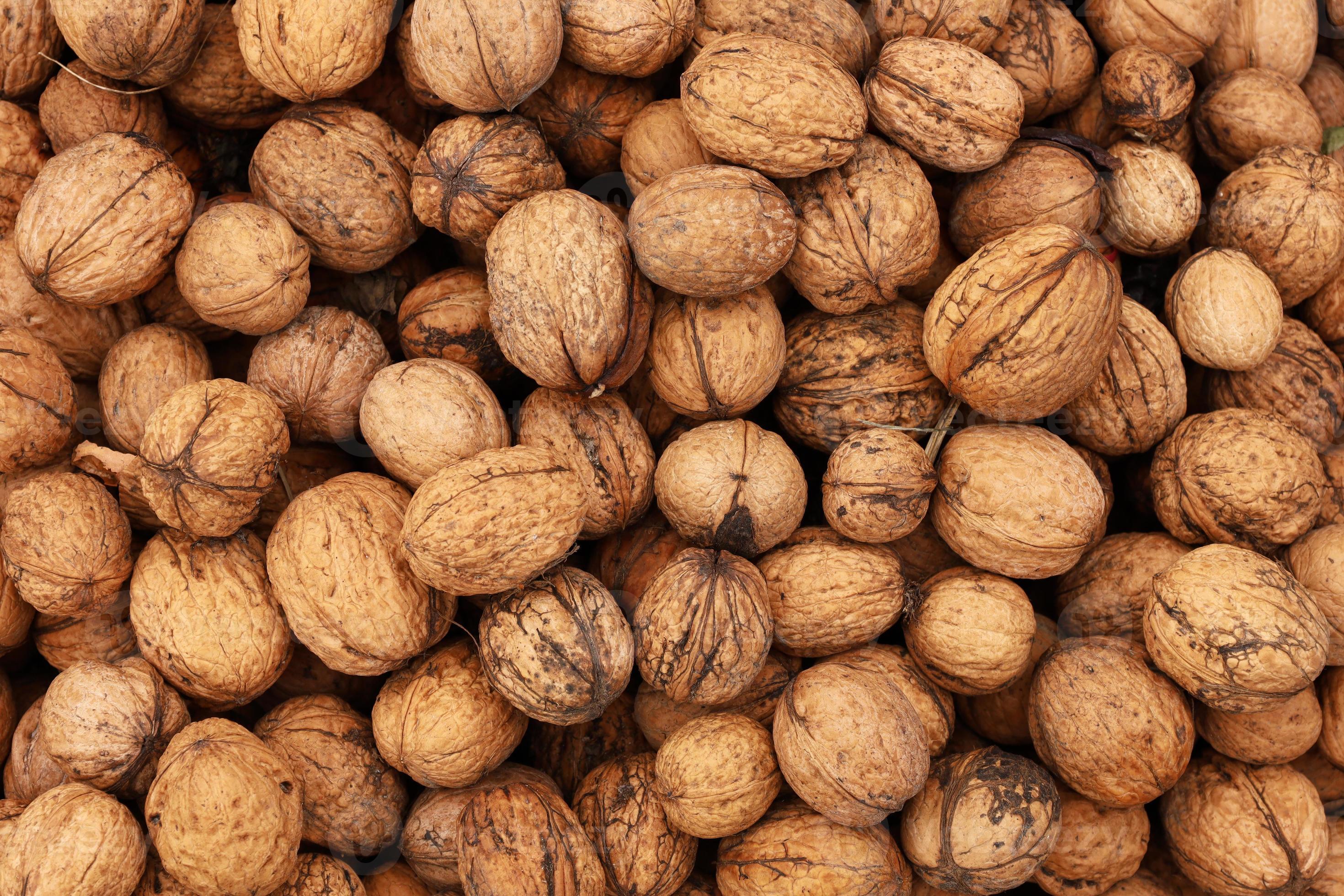 Background with a lot of ripe walnuts. Pile of natural walnuts in shell ... Background with a lot of ripe walnuts. Pile of natural walnuts in shell ...