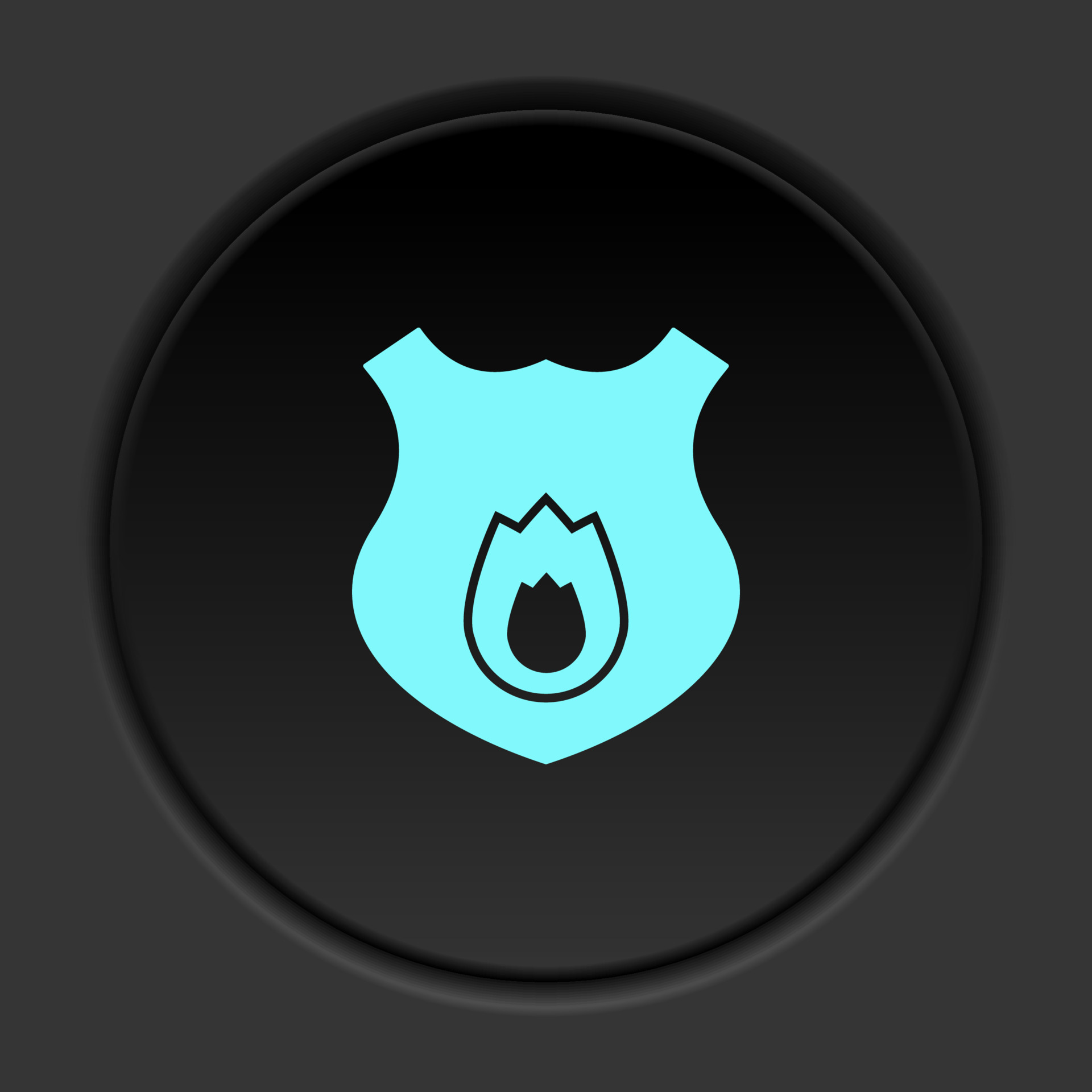 Round Button Icon Fireguard Shield Button Banner Round Badge Interface For Application