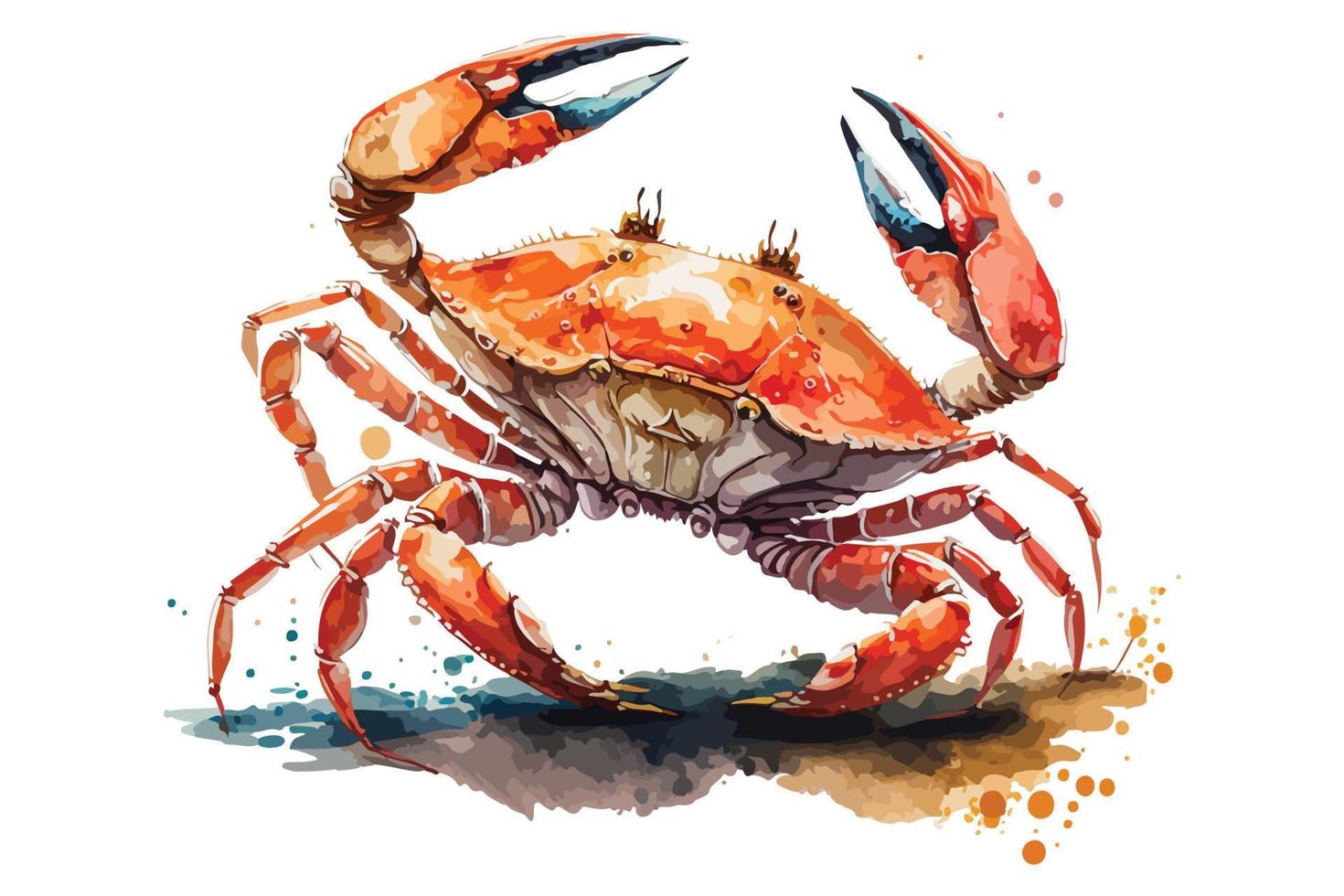 watercolor Crab vector illustration 21590606 Vector Art at Vecteezy watercolor Crab vector illustration 21590606 Vector Art at Vecteezy