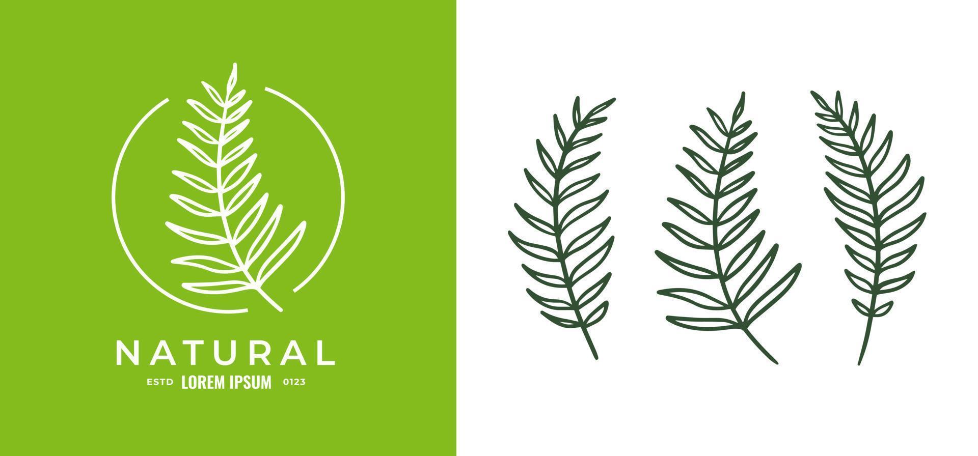 Organic fern illustration and badges logo template. Set of Minimalist stamp labels for tag fern ...