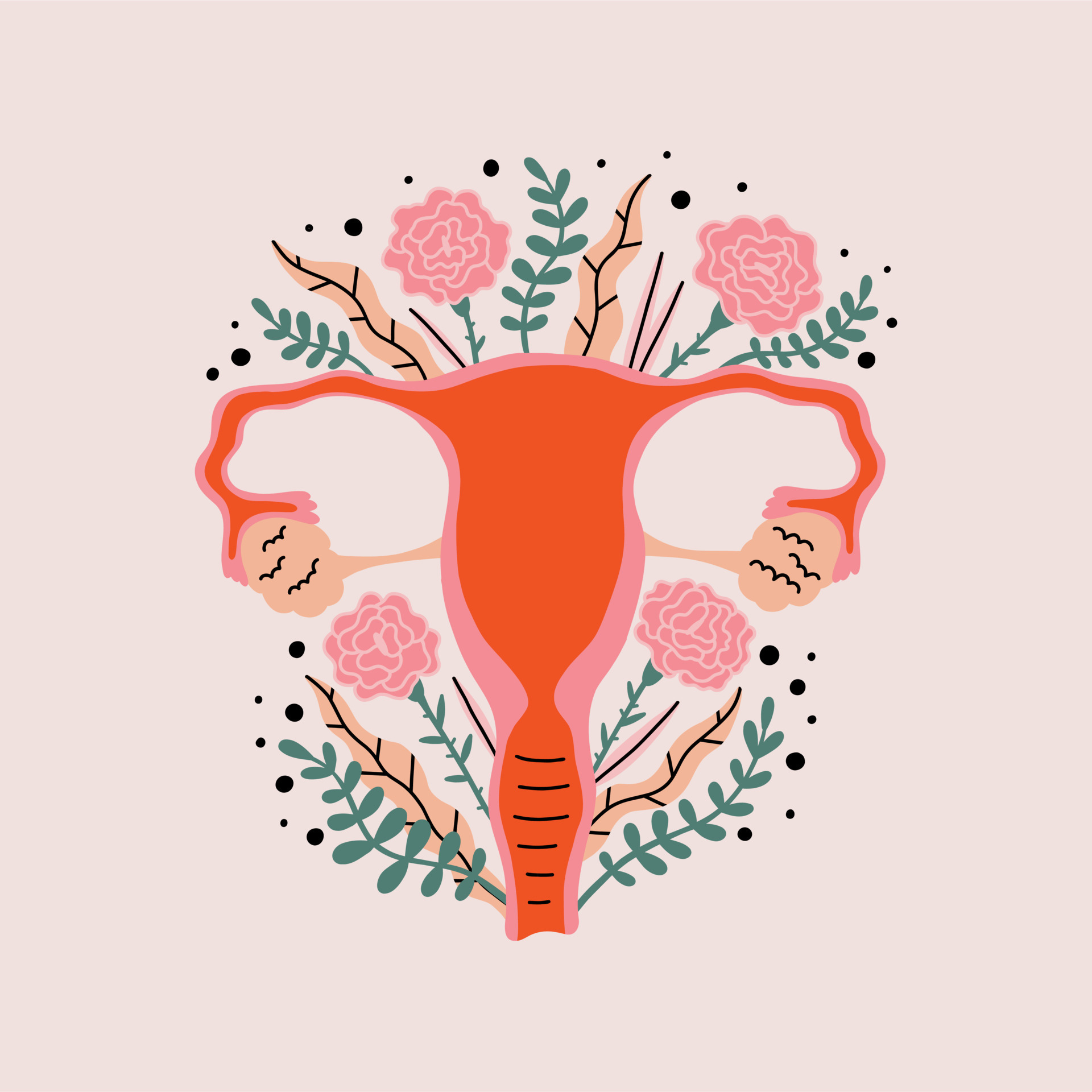 Female Reproductive System Is Stylized Flowers 21595282 Vector Art At Vecteezy