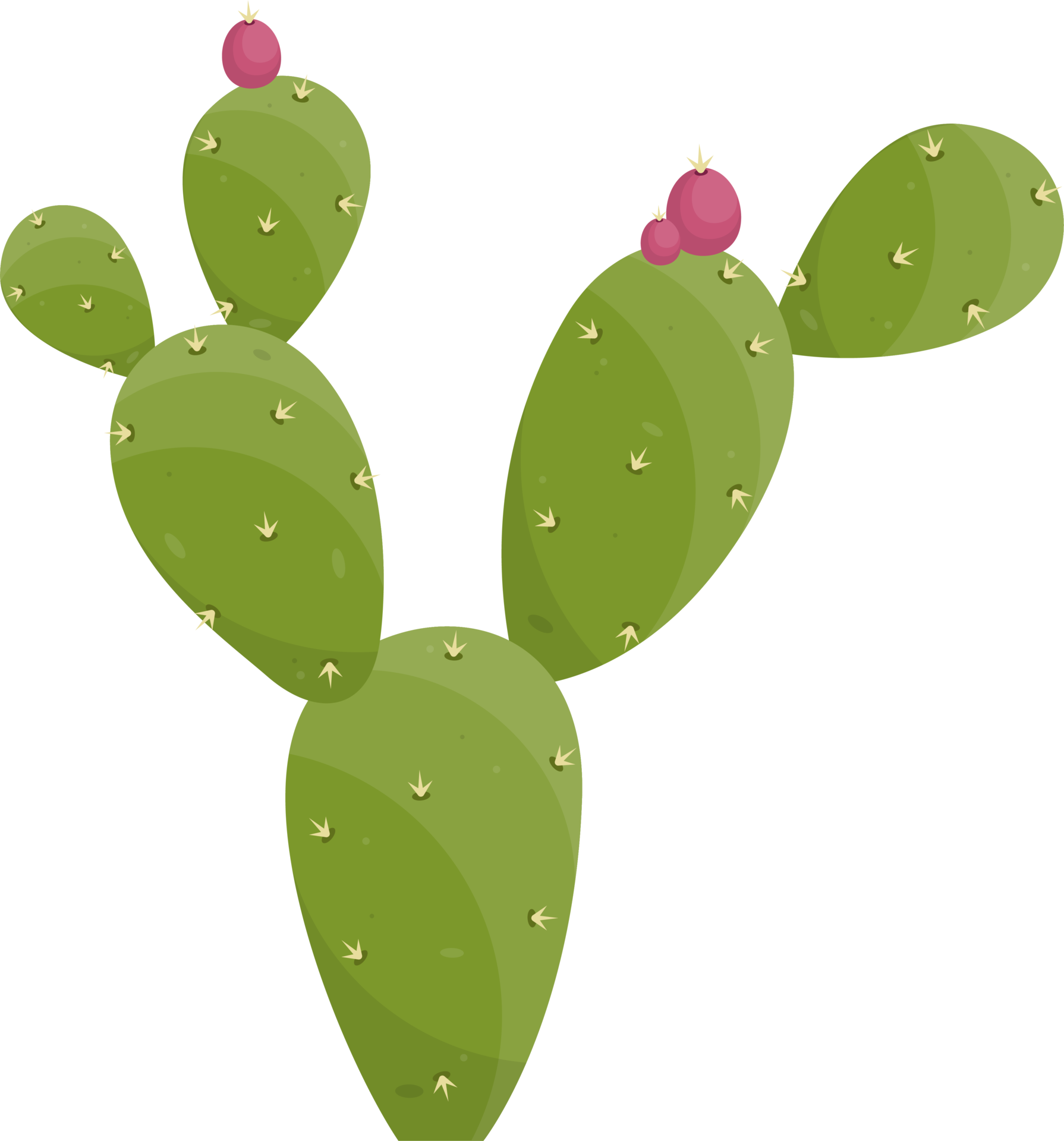 Cartoon desert cactus plant 21611971 PNG Cartoon desert cactus plant 21611971 PNG