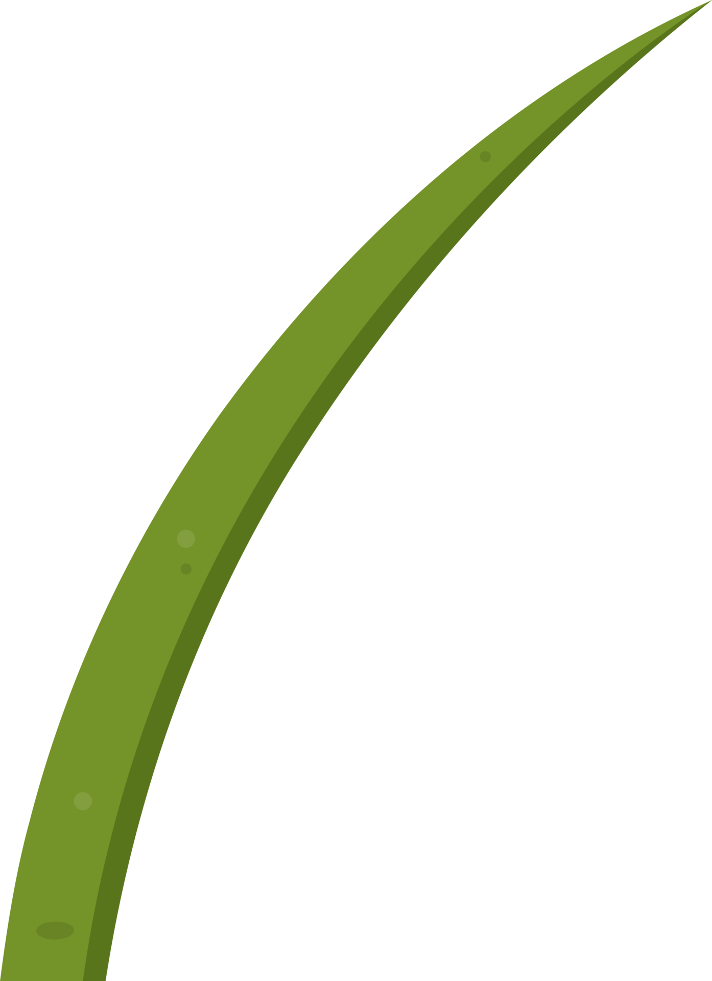 Cartoon Grass Leaves Clip Art 21612201 Png