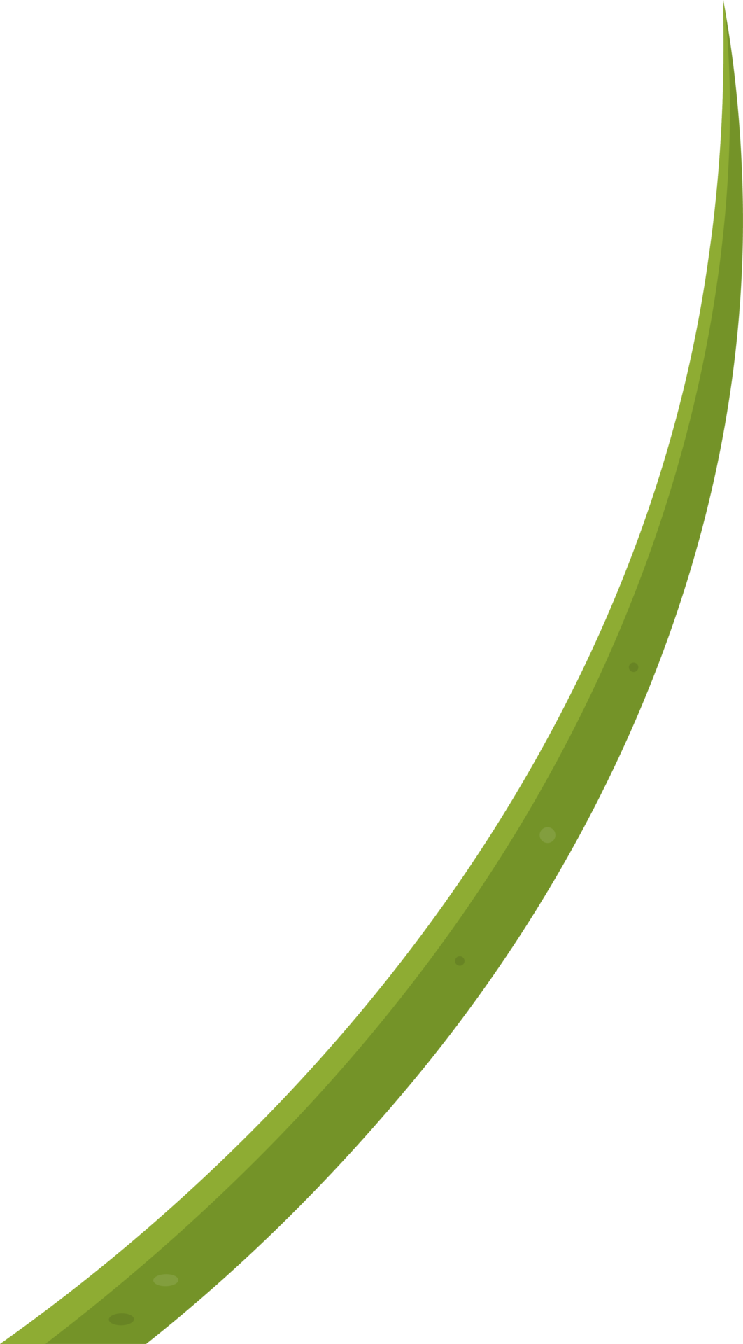 Cartoon Grass Leaves Clip Art 21612202 Png