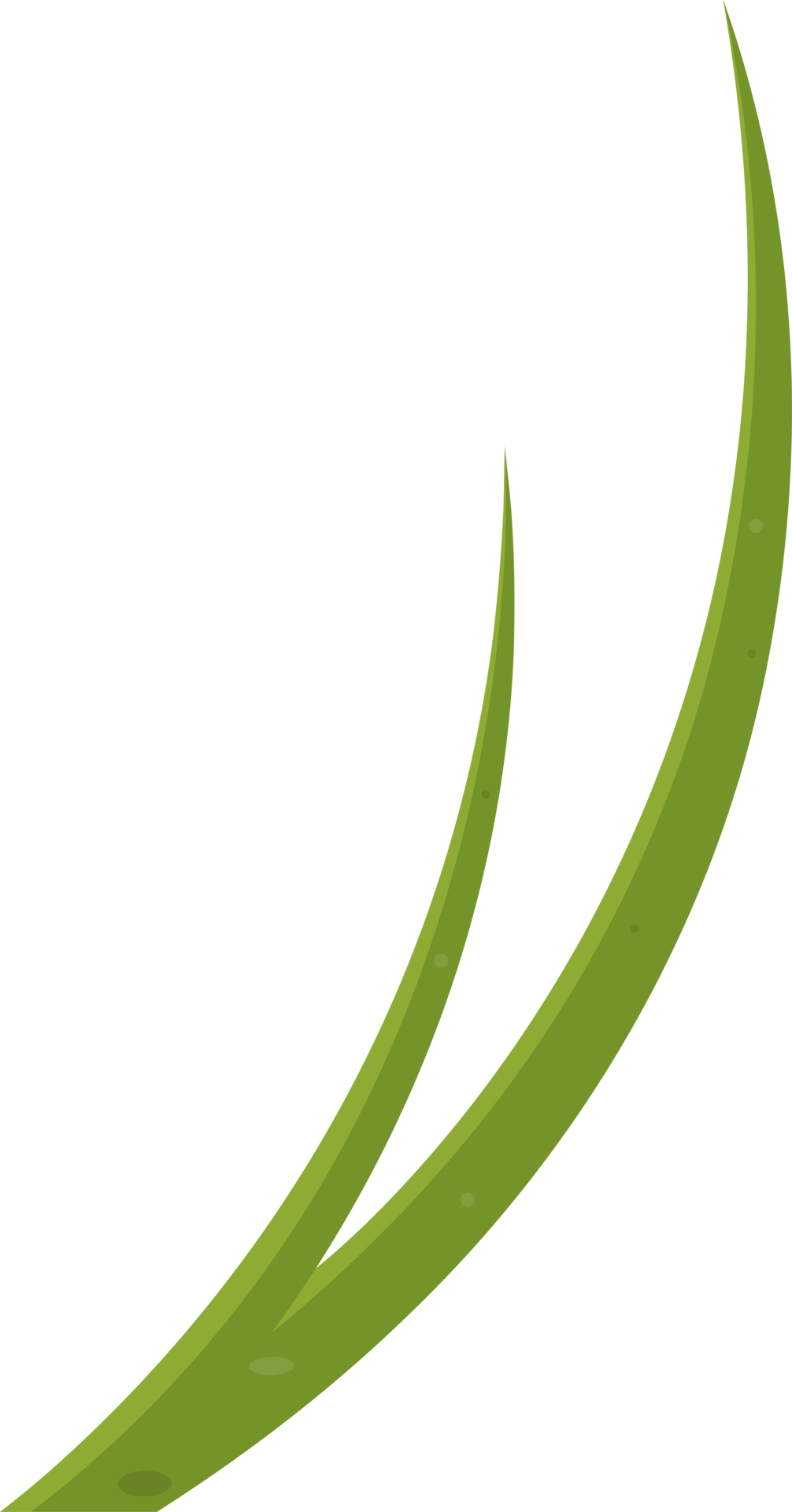 Cartoon Grass Leaves Clip Art 21612203 Png